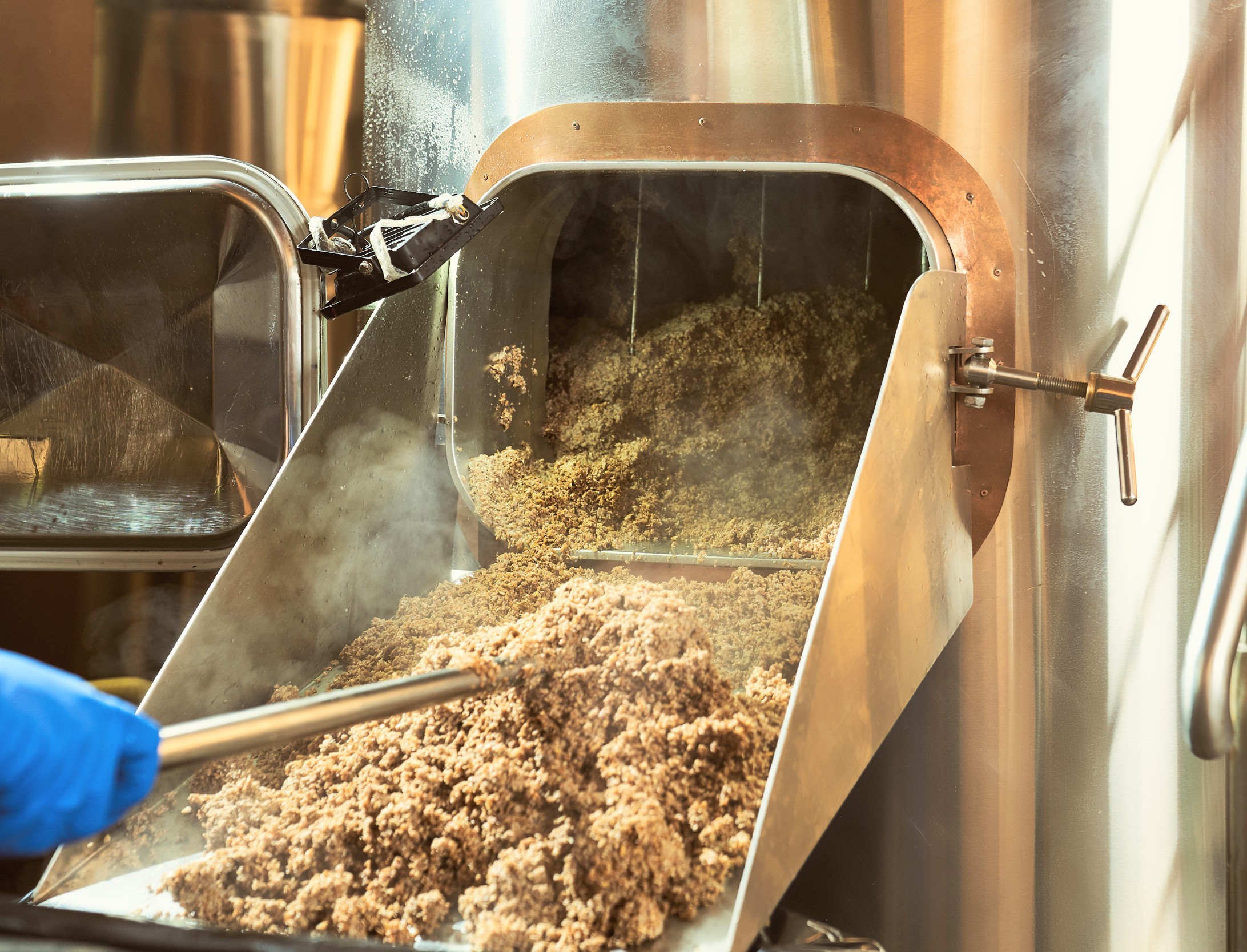 Breweries could supply a key ingredient for lab-grown meat - Earth.com