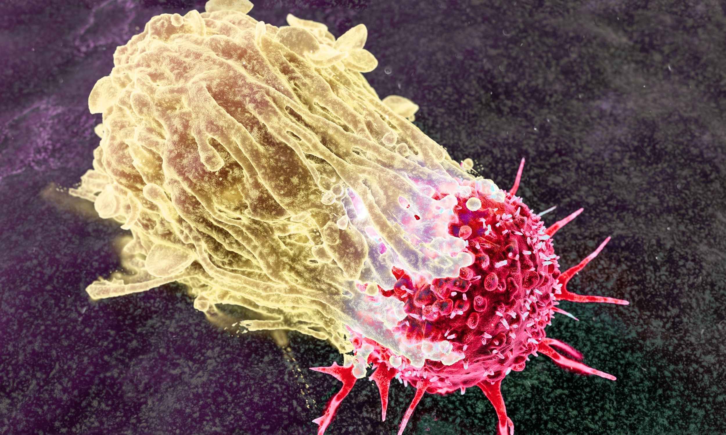 How Gertrude B. Elion revolutionized childhood cancer treatment - Earth.com