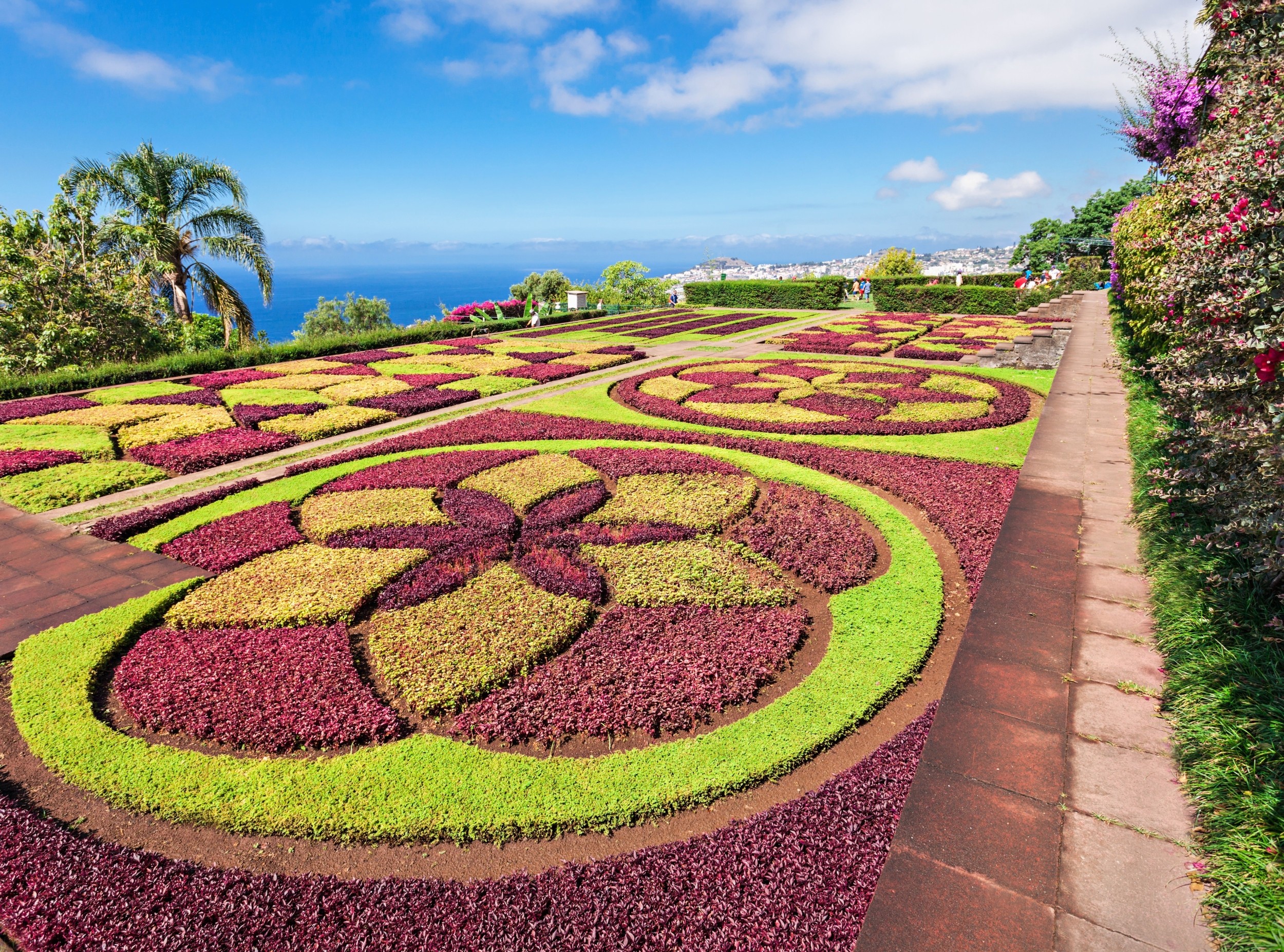 Connecting the world’s botanic gardens could help save plants - Earth.com