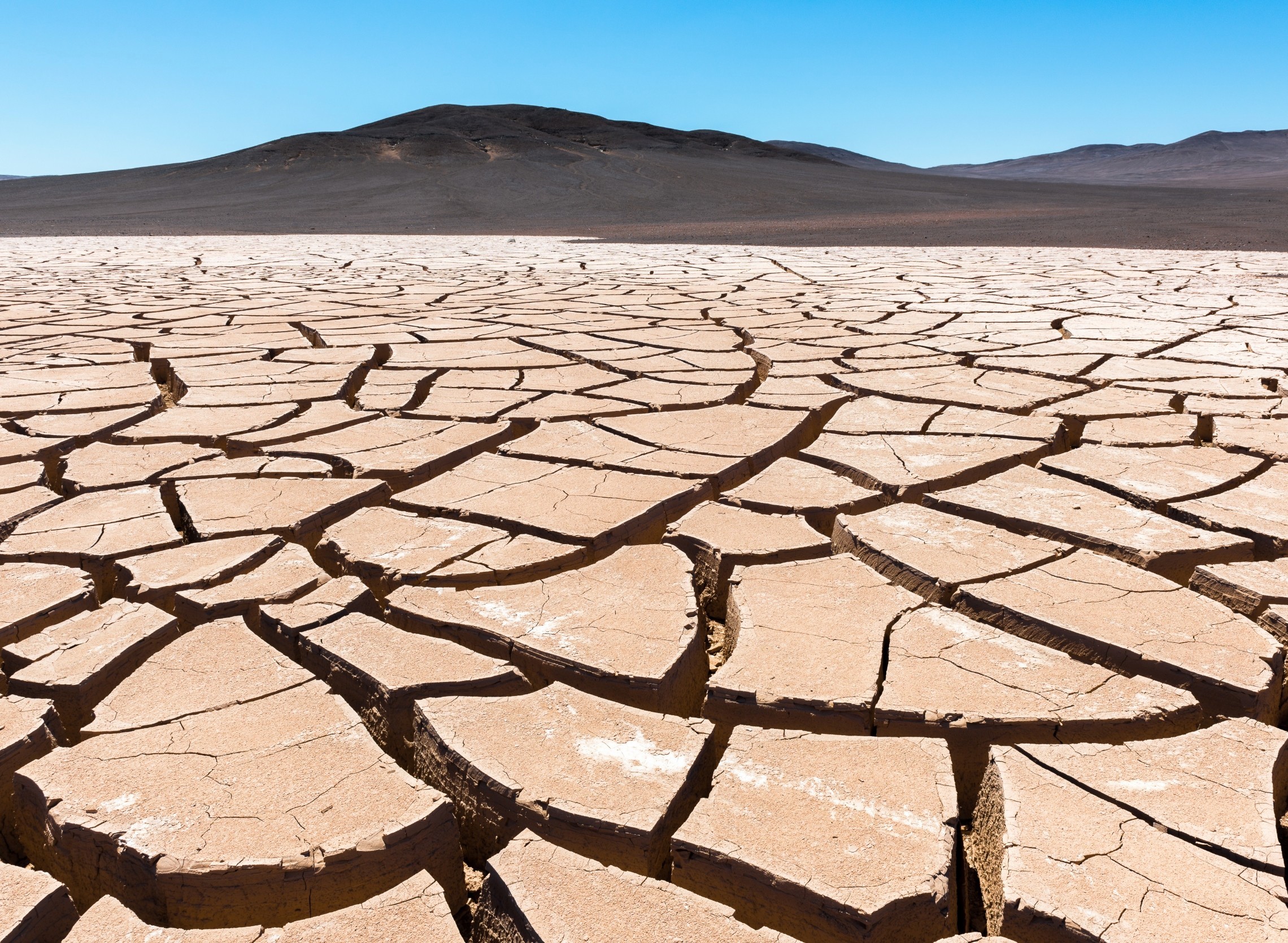 How life survives beneath Earth’s driest desert soil - Earth.com