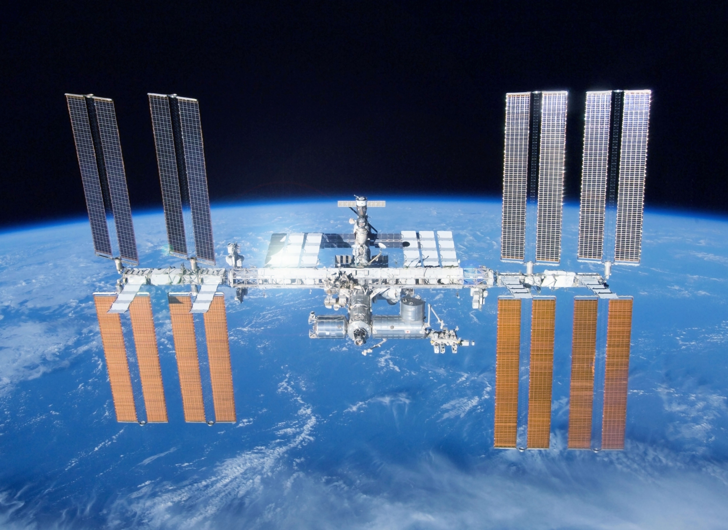 Life without gravity changes how viruses attack bacteria - Earth.com