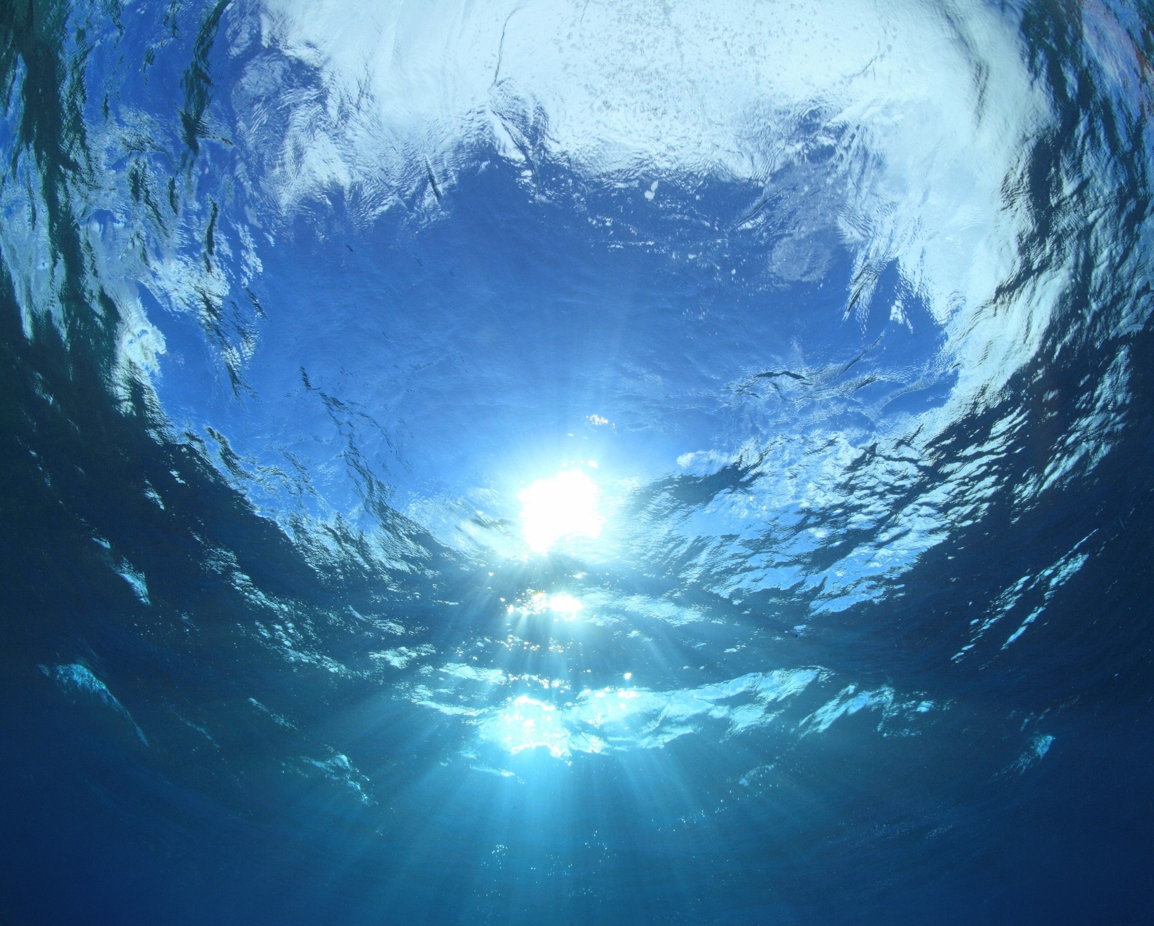 Viruses build a hidden oxygen layer beneath the ocean surface - Earth.com