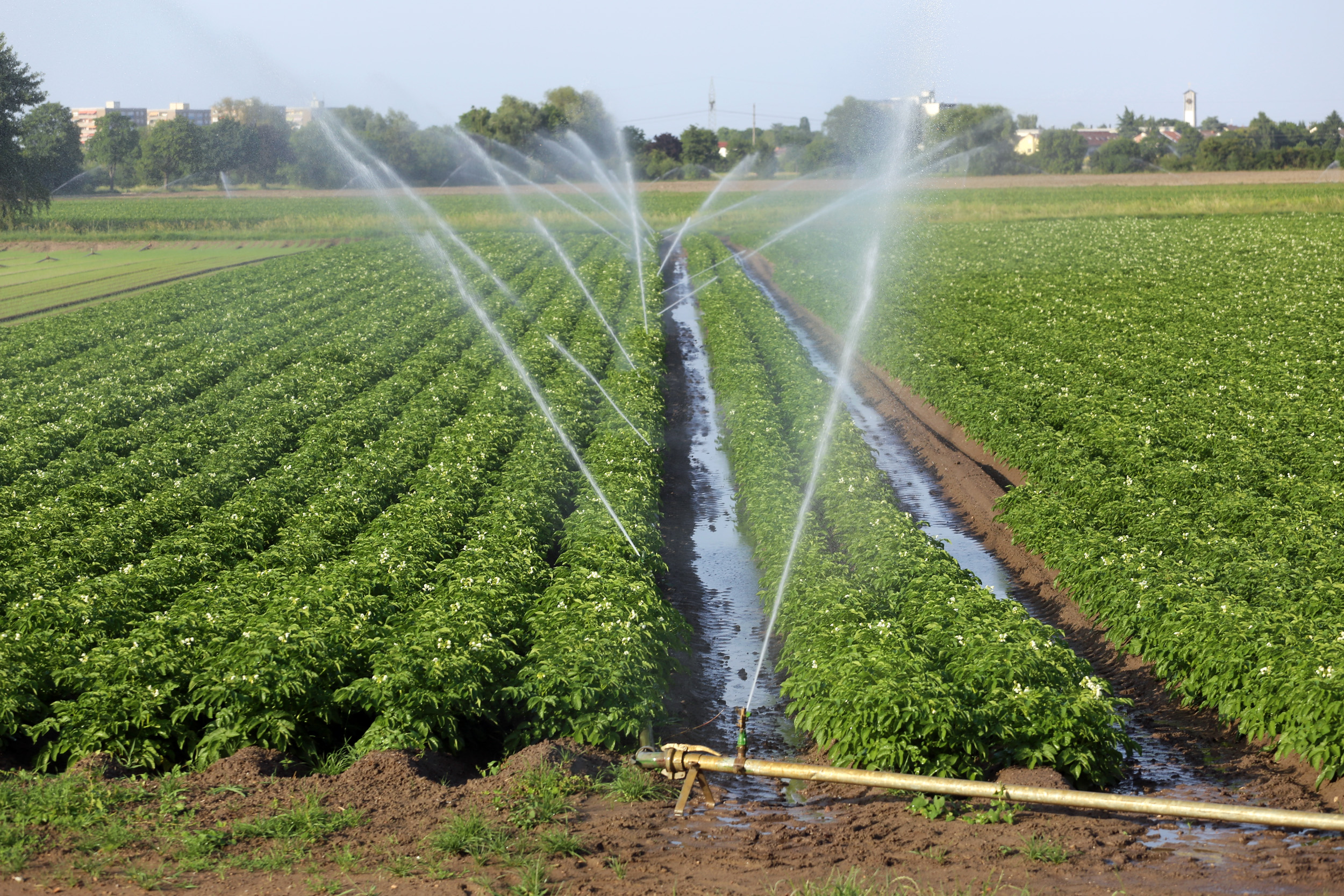 New AI groundwater map could reshape U.S. water use - Earth.com