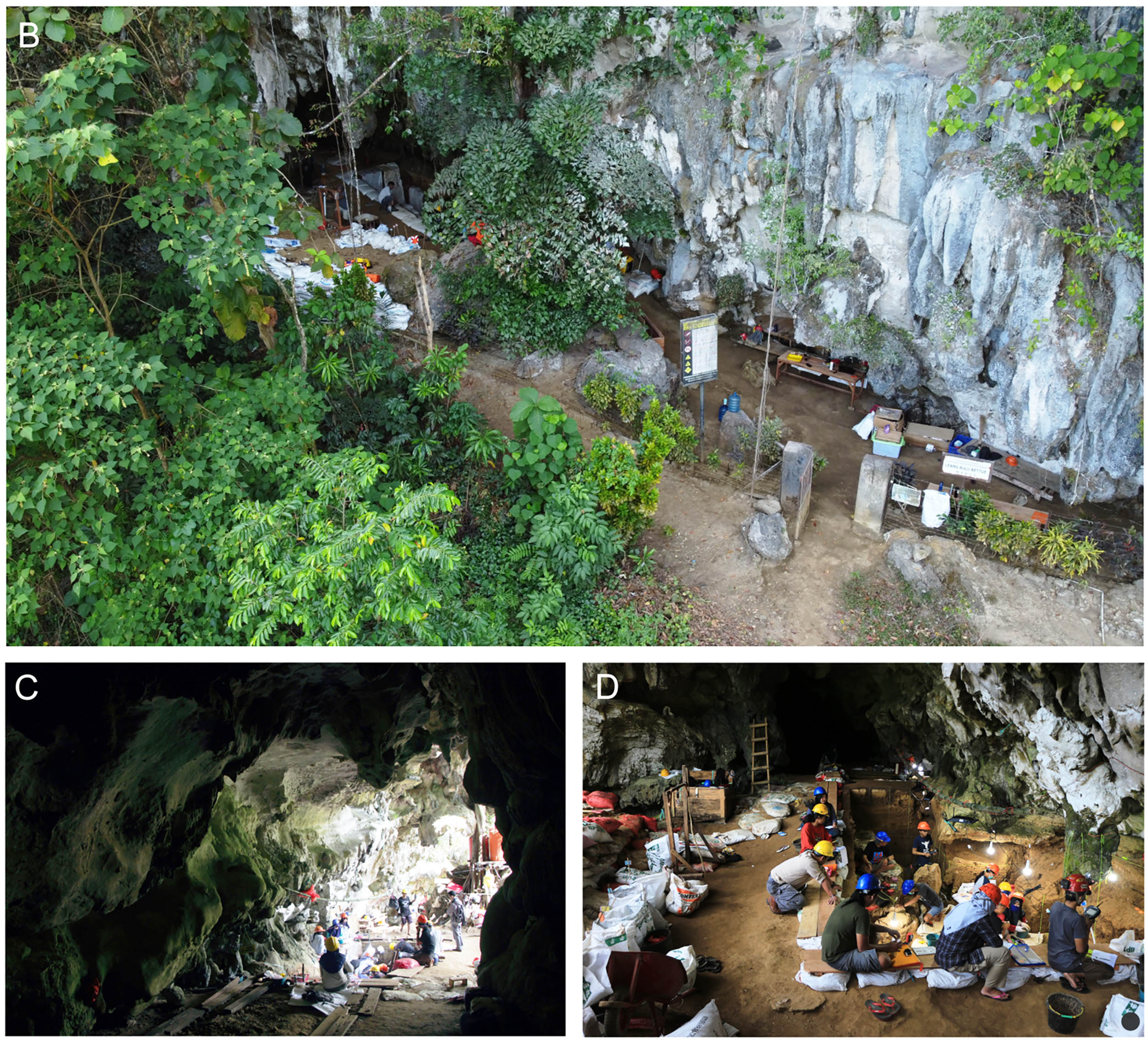 Modern humans may have shared an island with human relatives - Earth.com