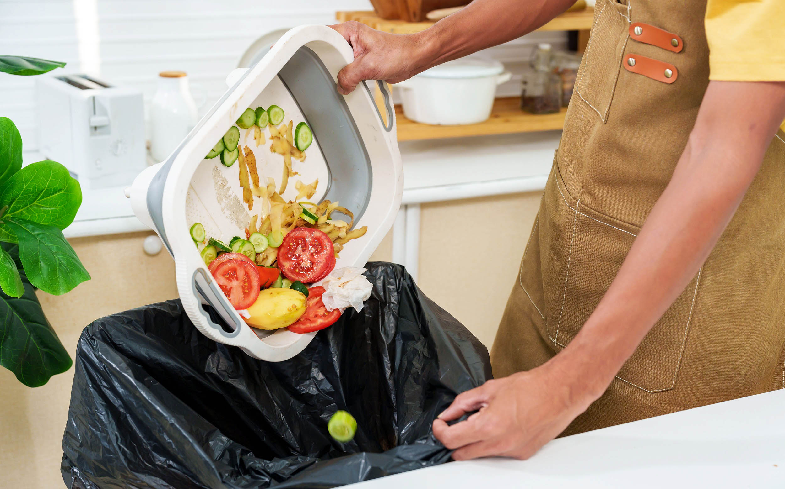 Innovation turns food waste into healthy nutritional supplements ...