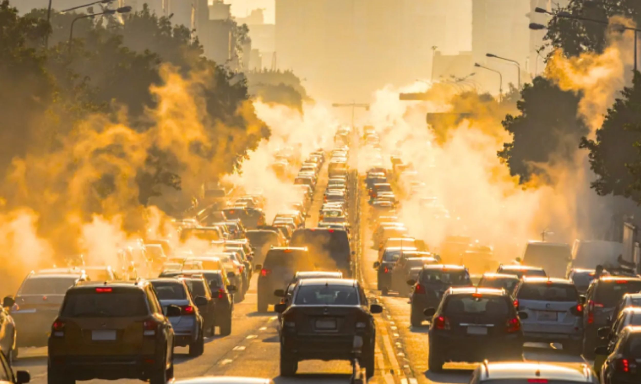 Air pollution may damage the human gut and heart simultaneously - Earth.com