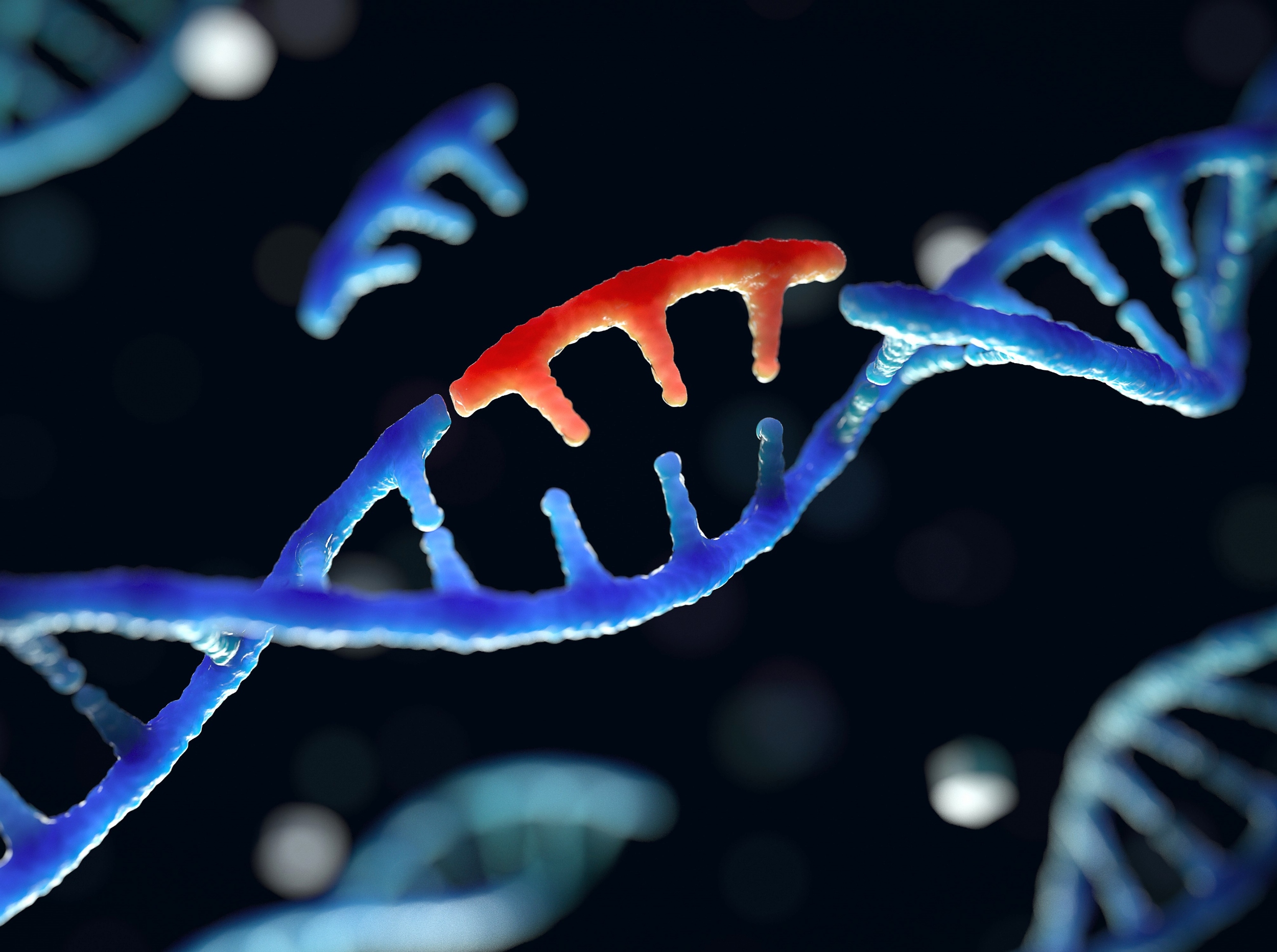 Caffeine could give scientists precise control over gene editing ...