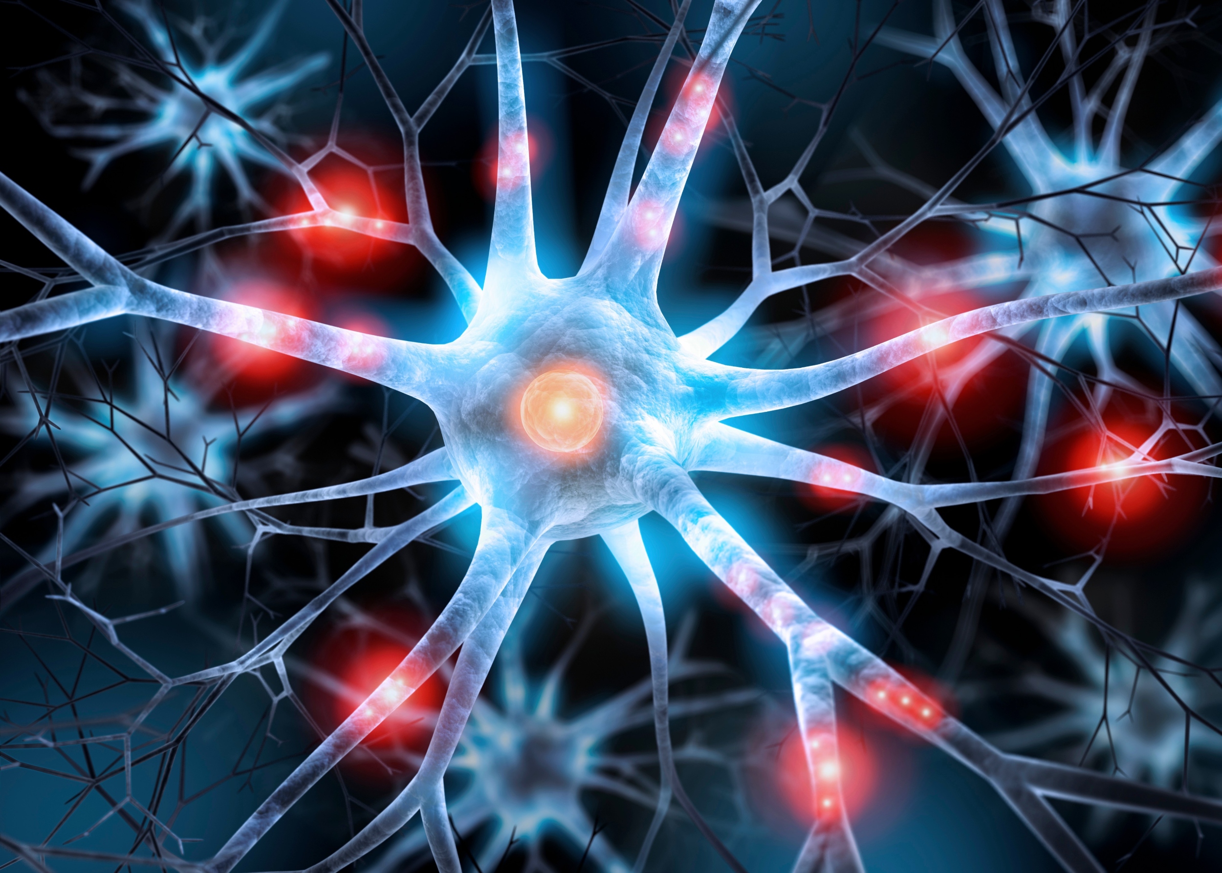 Cutting sugar can help brain cells survive after injury - Earth.com