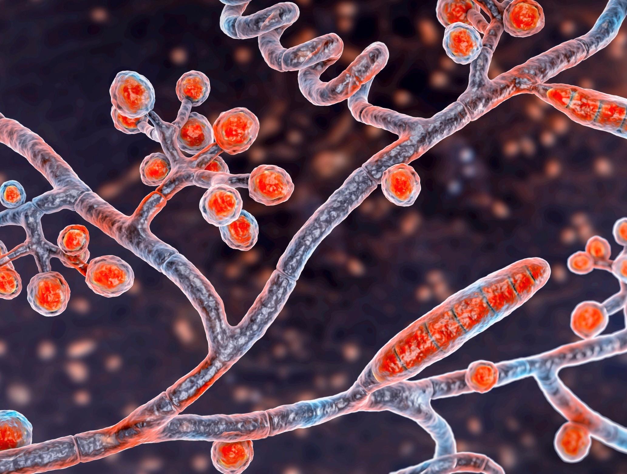 Fungus may help skin cancer spread faster - Earth.com