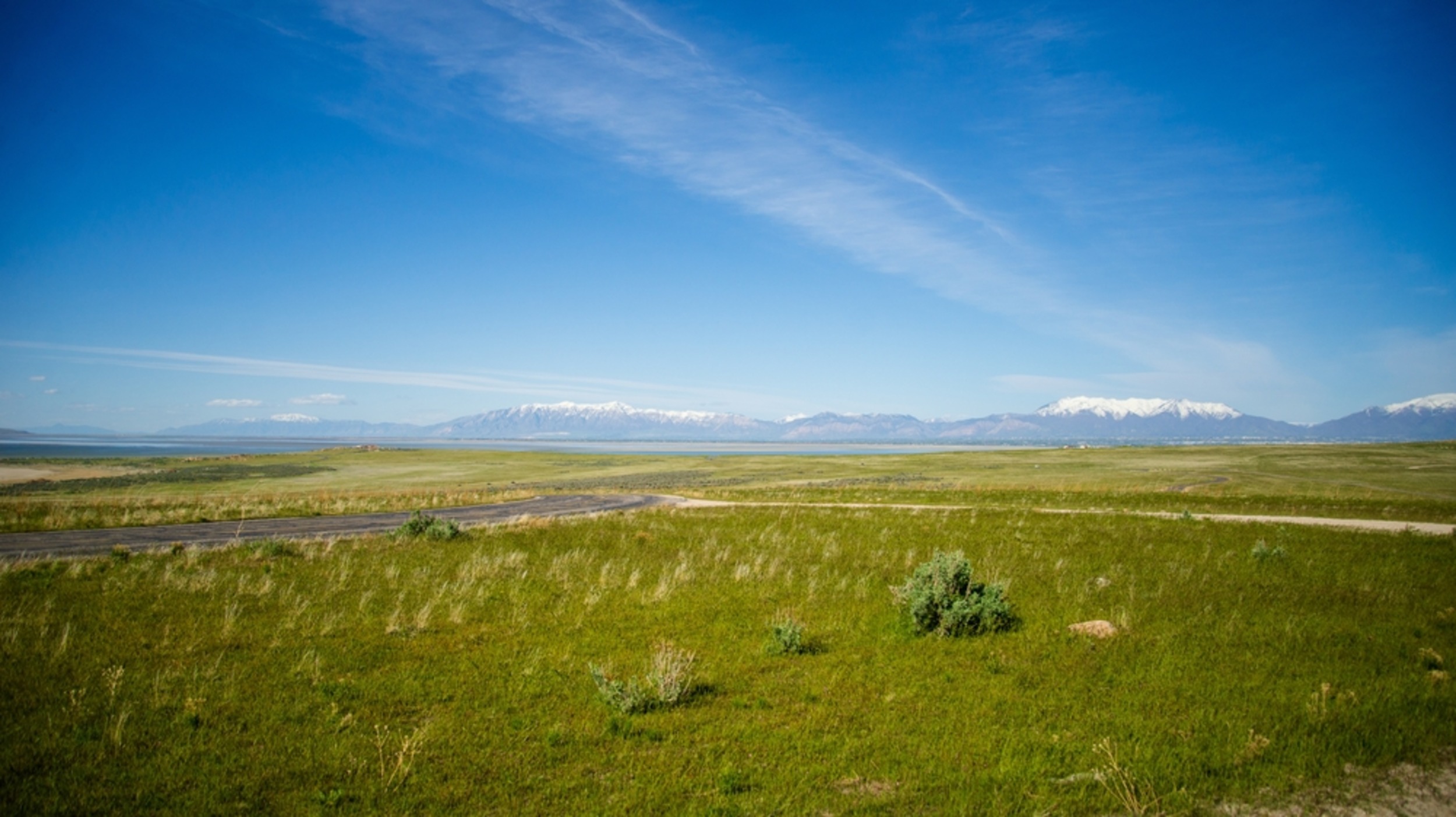 Grasslands cover 40 percent of our planet - Earth.com