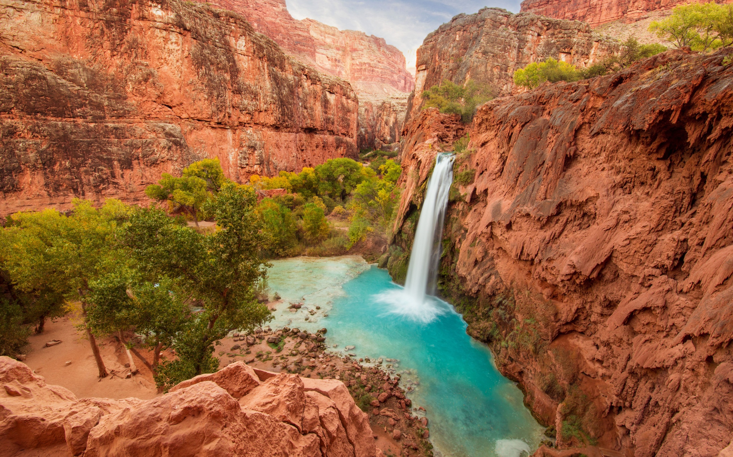 Pristine Grand Canyon spring water is no longer as pure as it looks ...