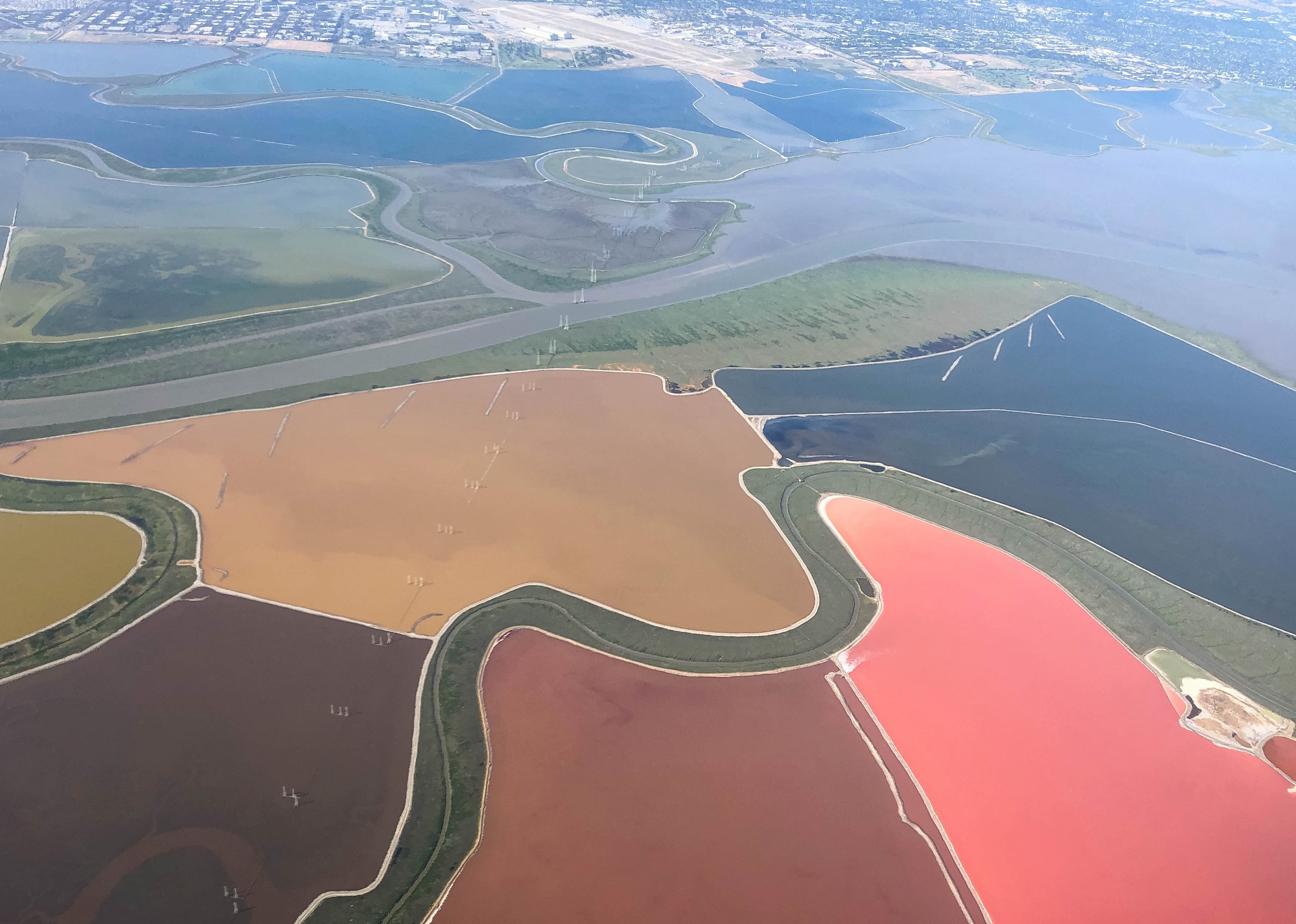Microbes connect the planet through a hidden genetic network - Earth.com