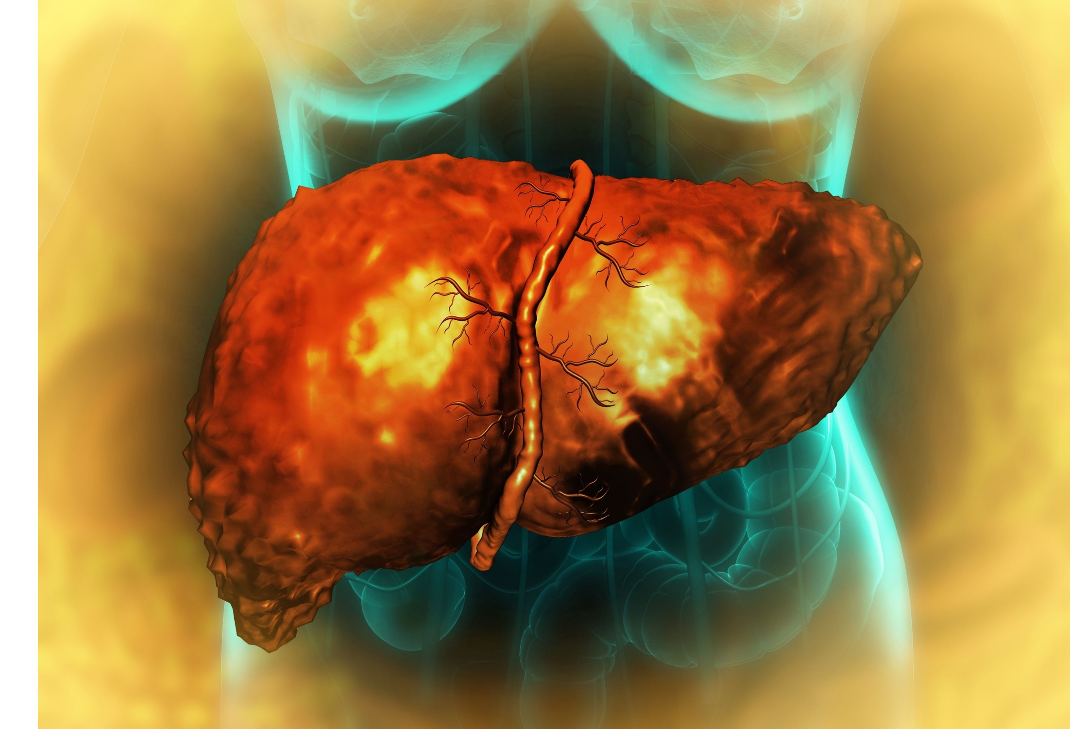 Two common drugs can reverse scarring due to liver fibrosis - Earth.com