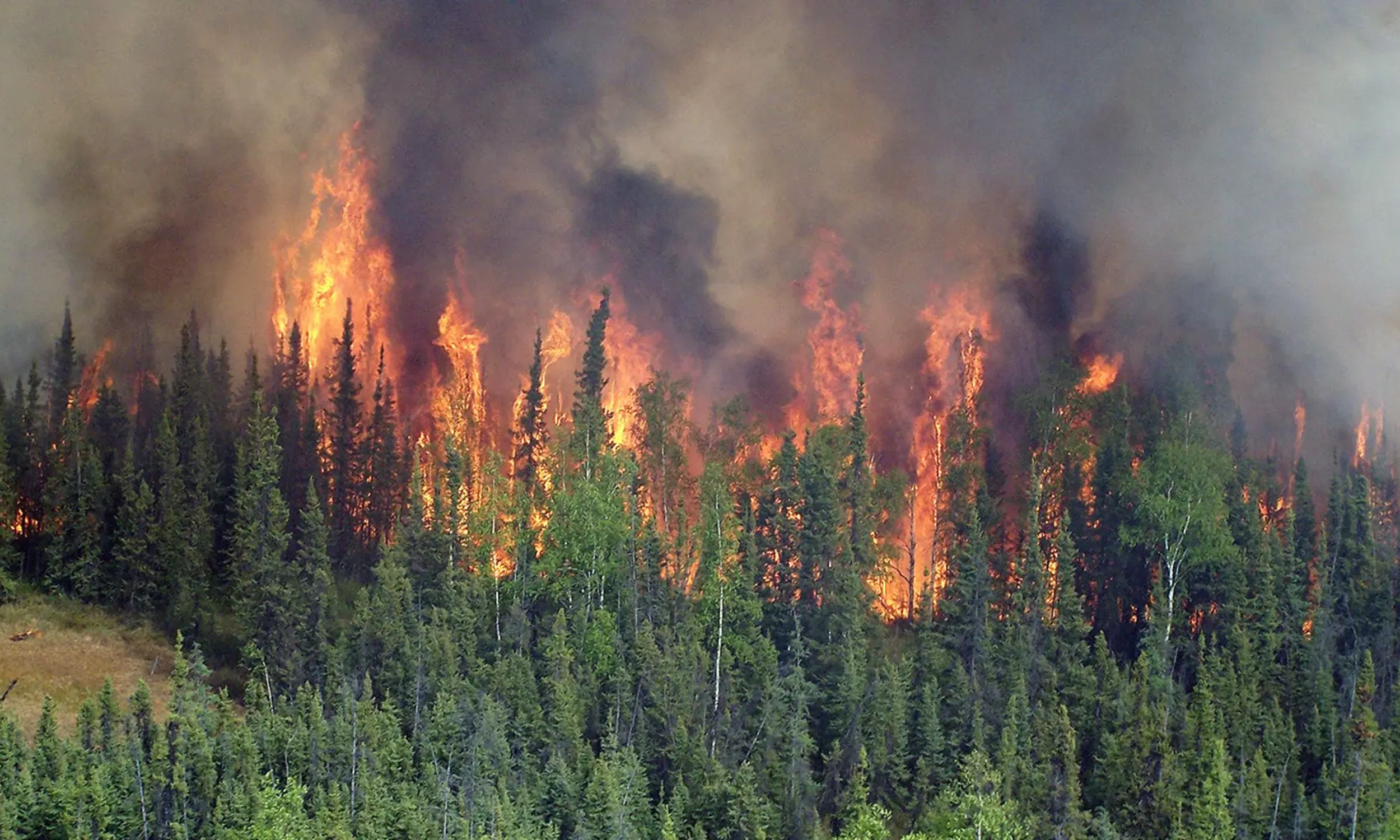 Alaska reports more wildfires than any time in the past 3,000 years ...