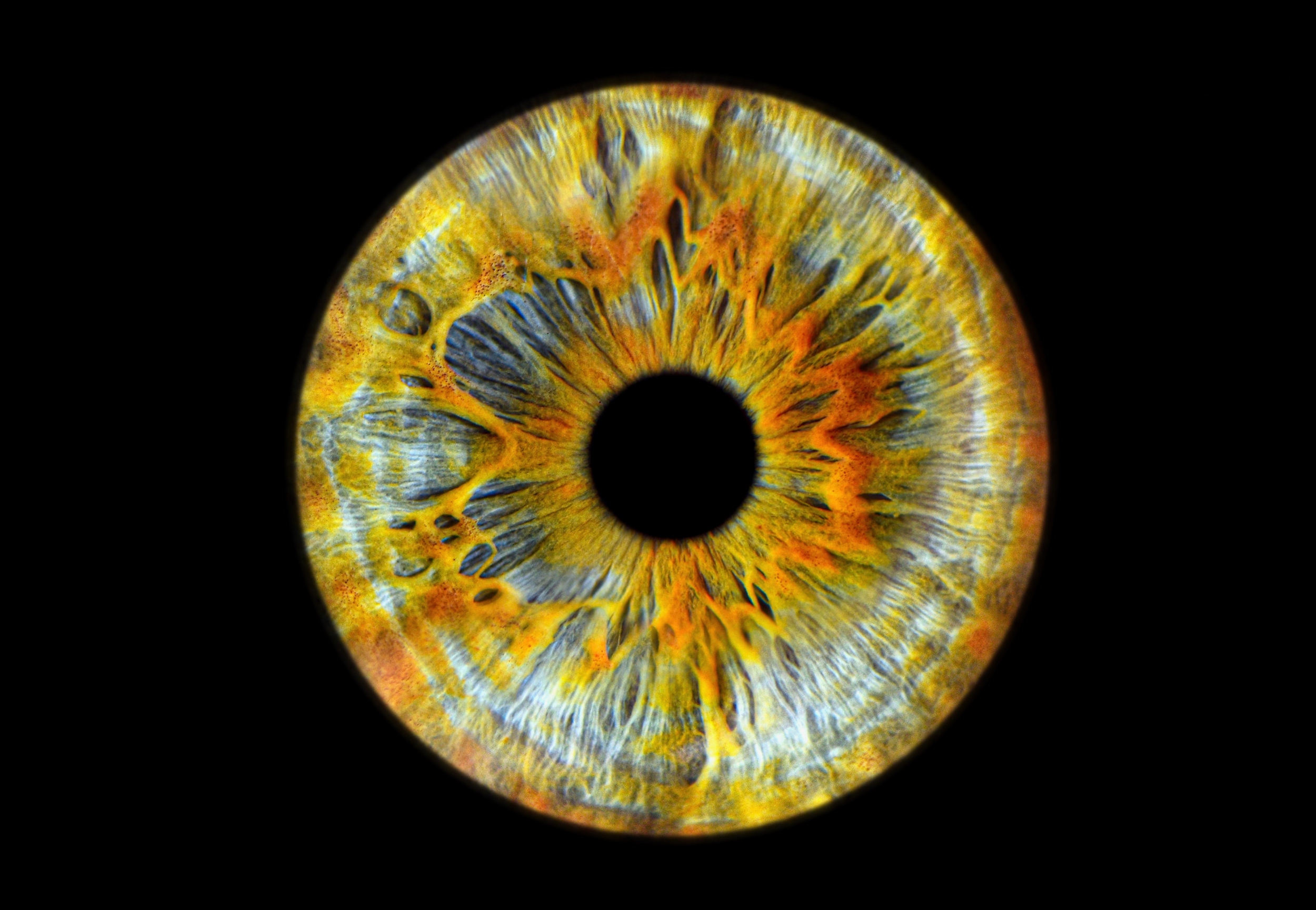 Quick eye movements help the brain map the world in 3D - Earth.com
