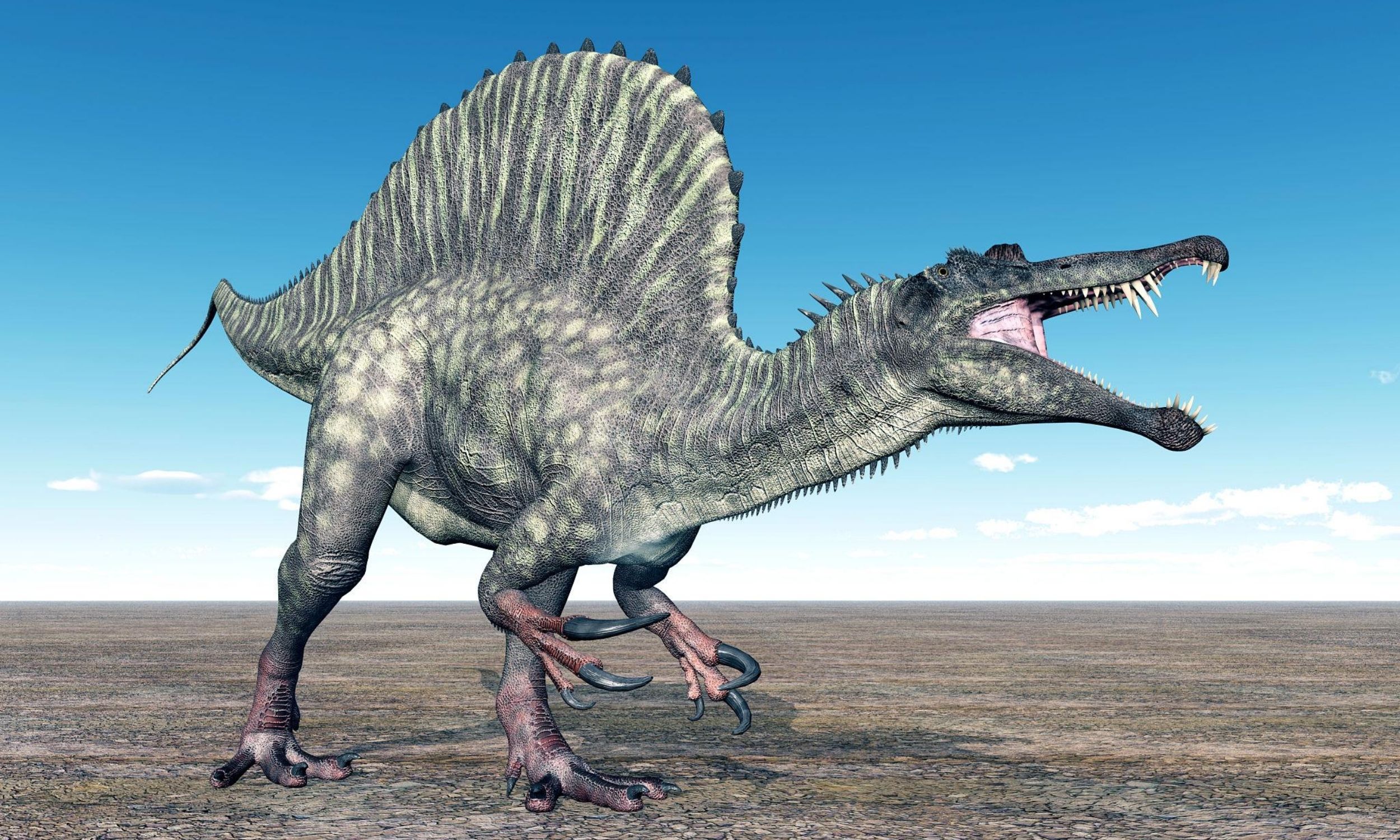 Scientists identify new Spinosaurus species in the Sahara Desert ...