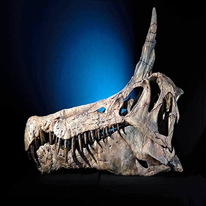 First new dinosaur species in 100 years nicknamed 'Hell-heron' - Earth.com