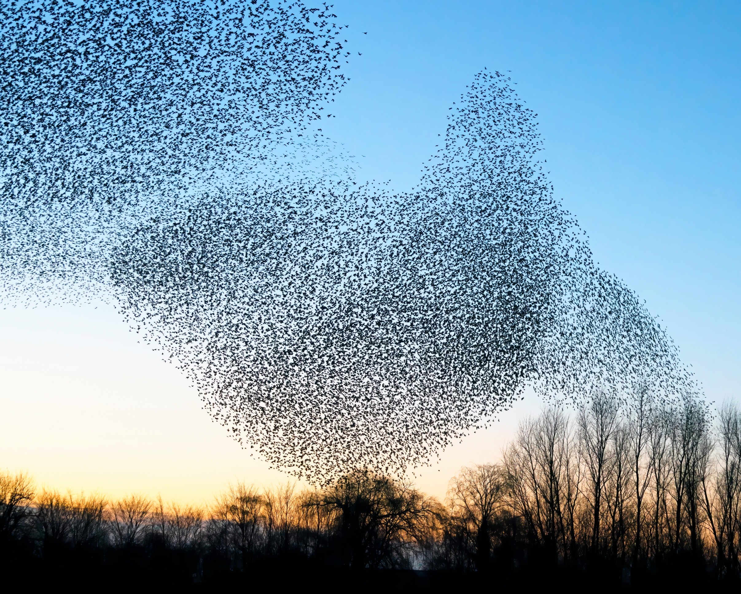 Beyond survival of the fittest: Evolution works at multiple levels ...