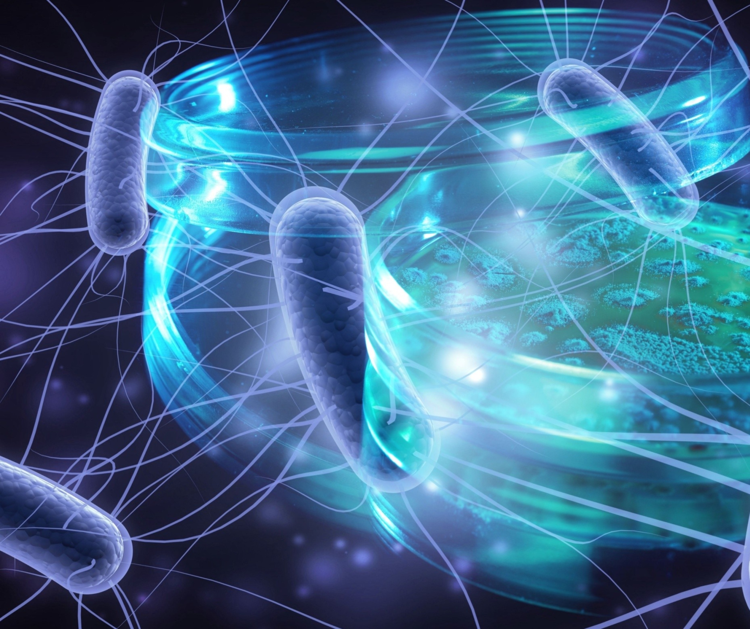 Scientists measure the magnetic compass inside one bacterium - Earth.com