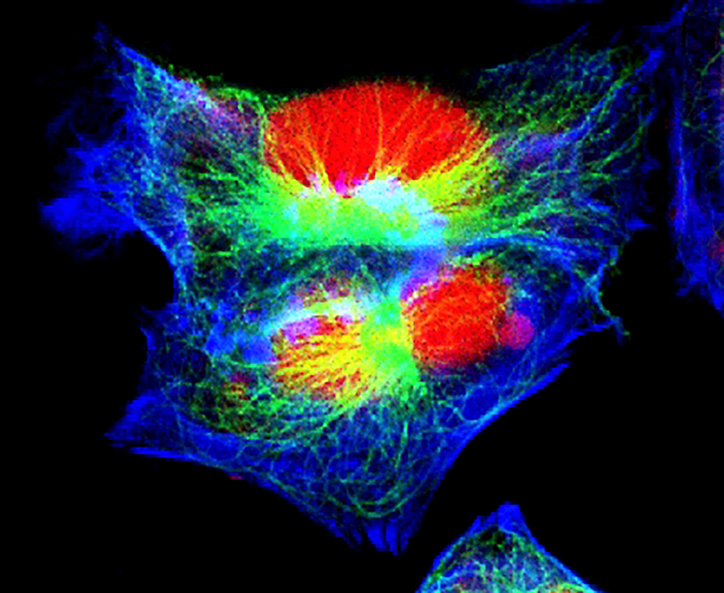 Brain energy surge can turn short memories into lasting ones - Earth.com