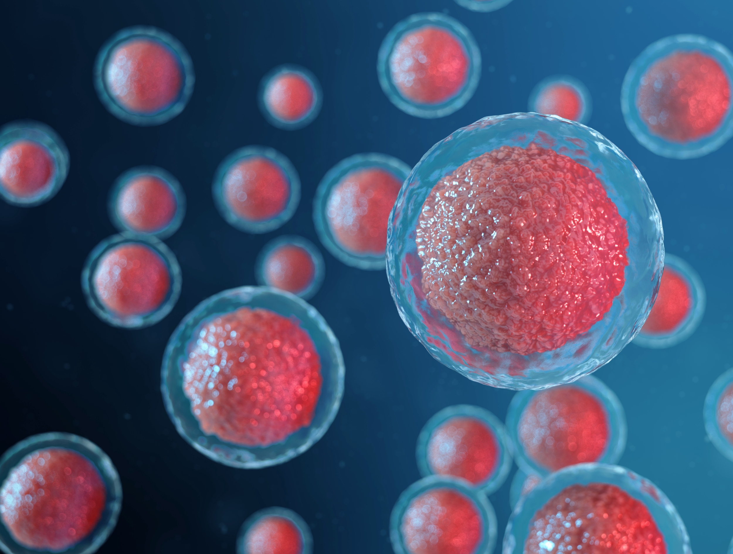 Seven million cells reveal how aging transforms the body - Earth.com