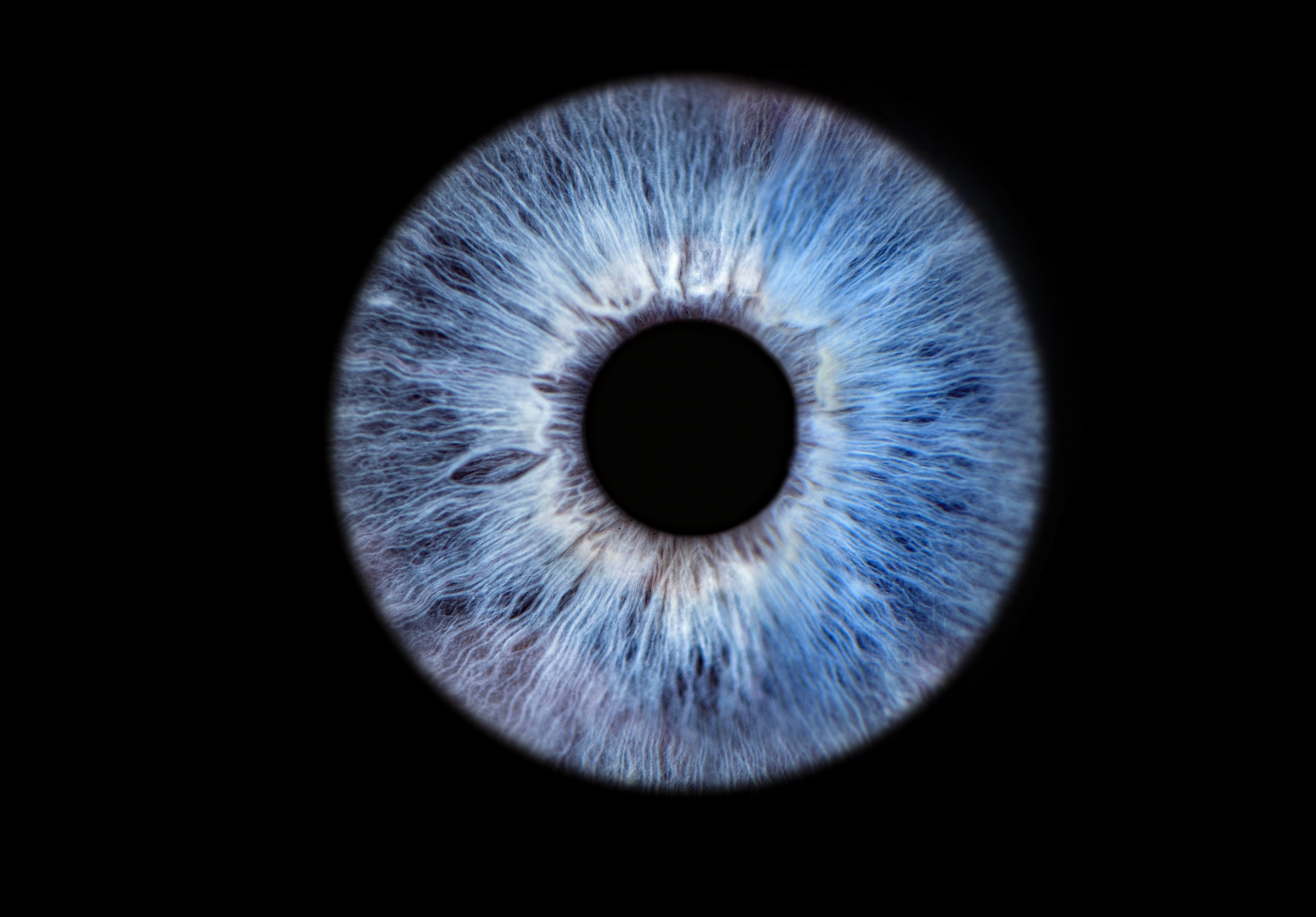 Human eyes can be traced back to an ancient ‘cyclops’ ancestor - Earth.com
