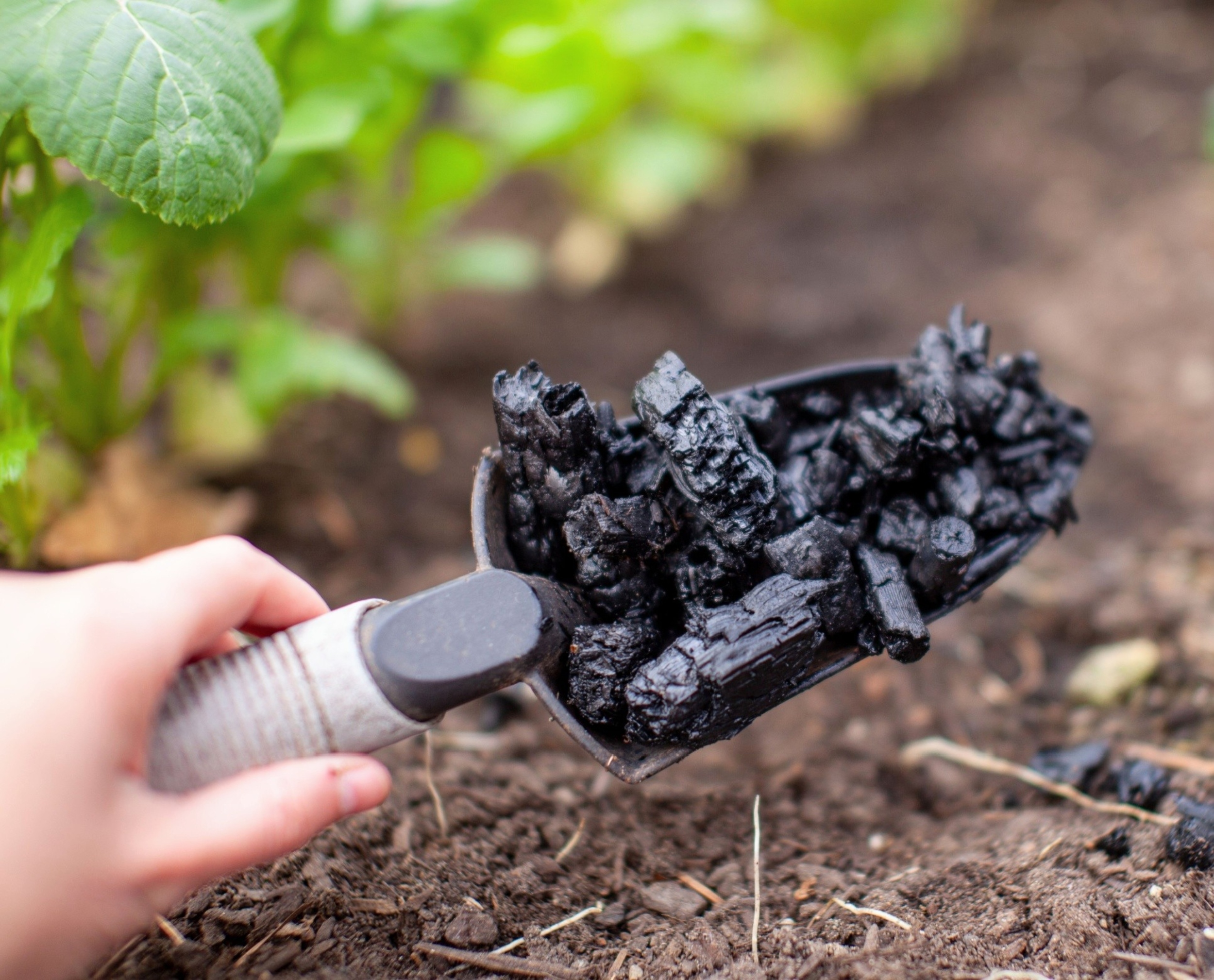 Why biochar helps some farms but worsens emissions in others - Earth.com