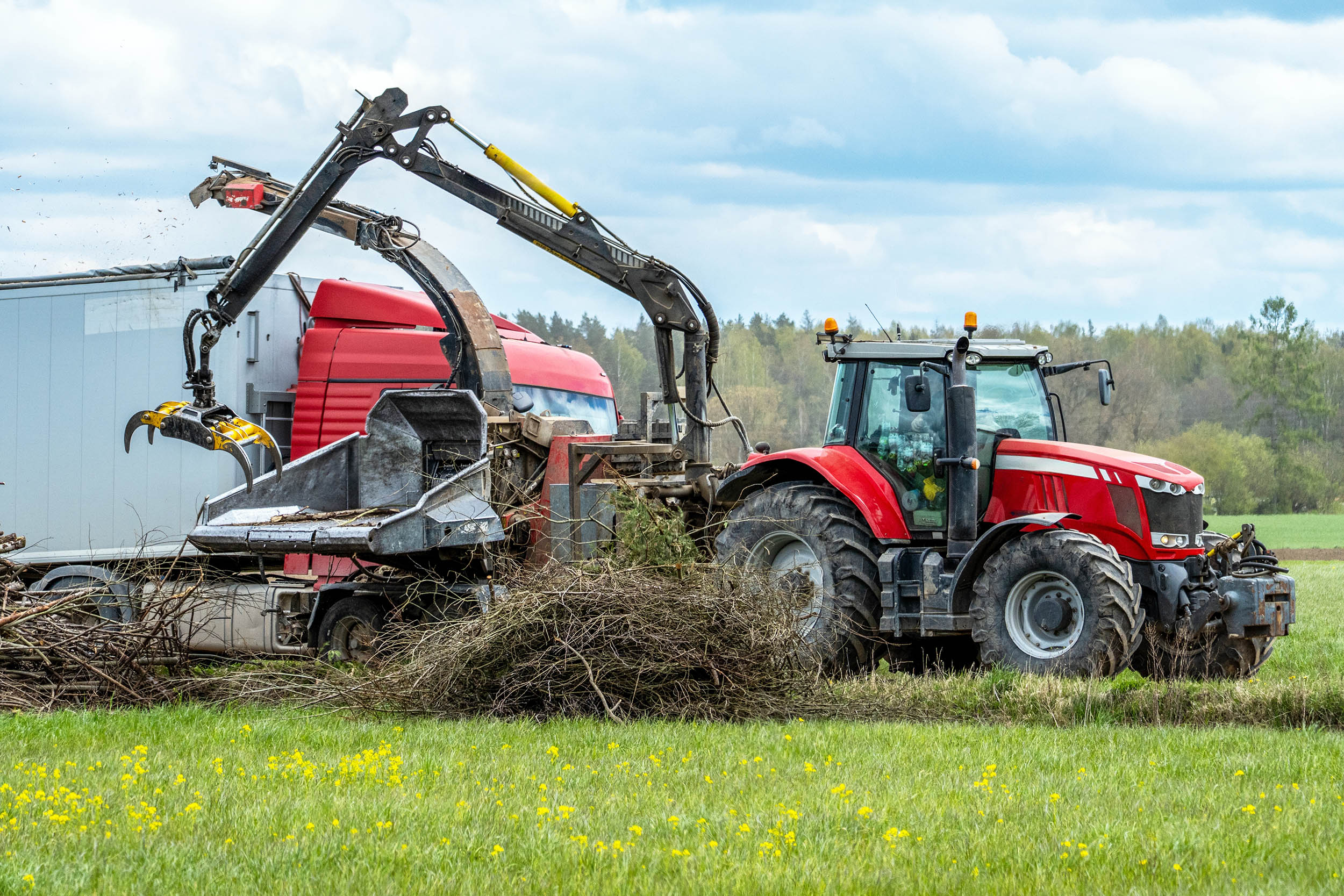 Biochar could remove more carbon using abandoned land - Earth.com