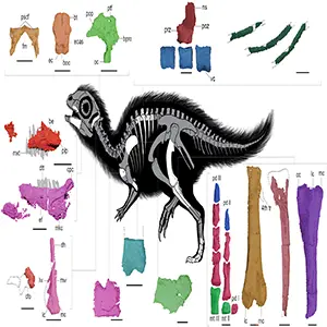 Doolysaurus is a newly discovered dinosaur inspired by a cartoon ...