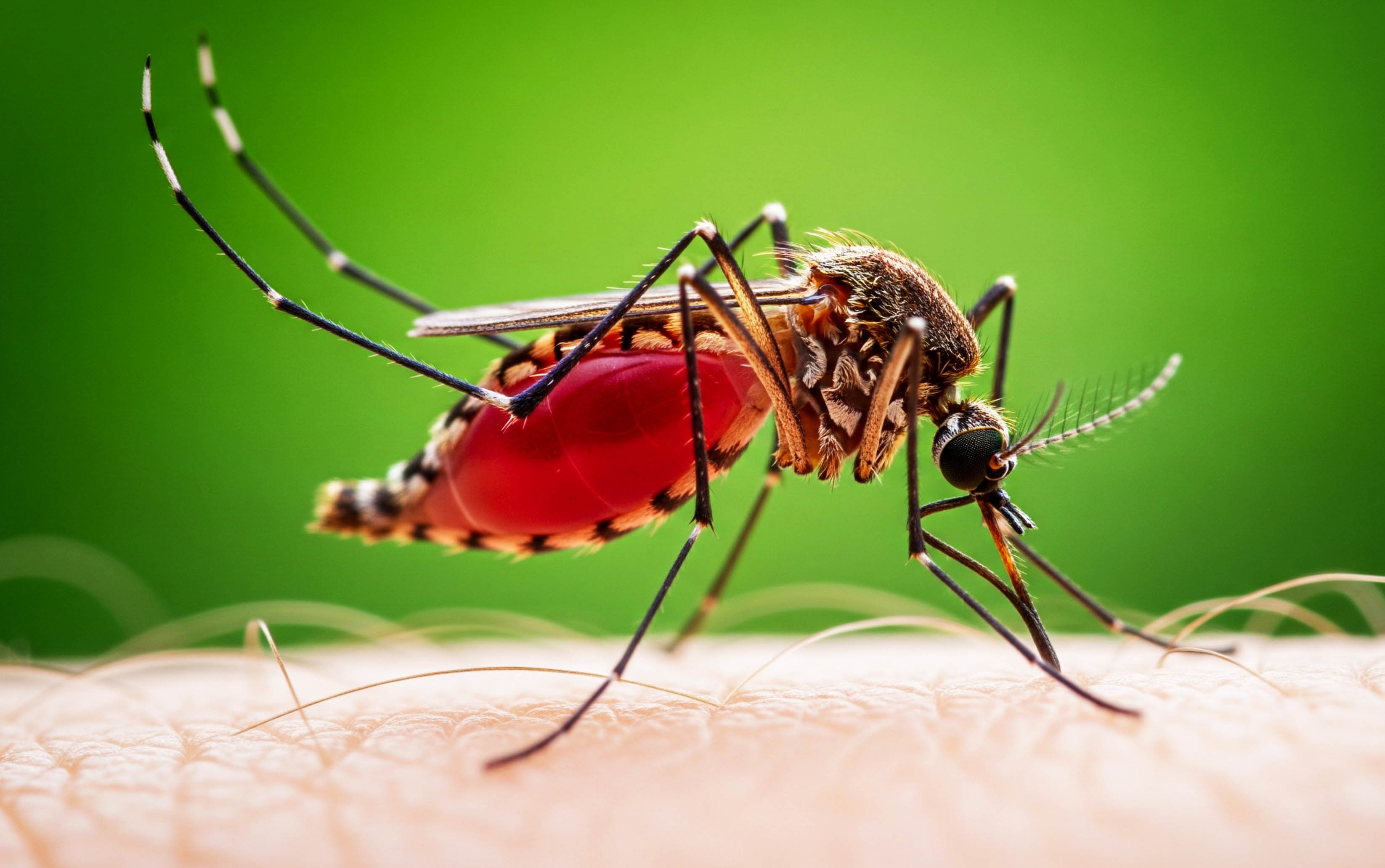 Surprising discovery identifies a new way to reduce mosquito biting ...