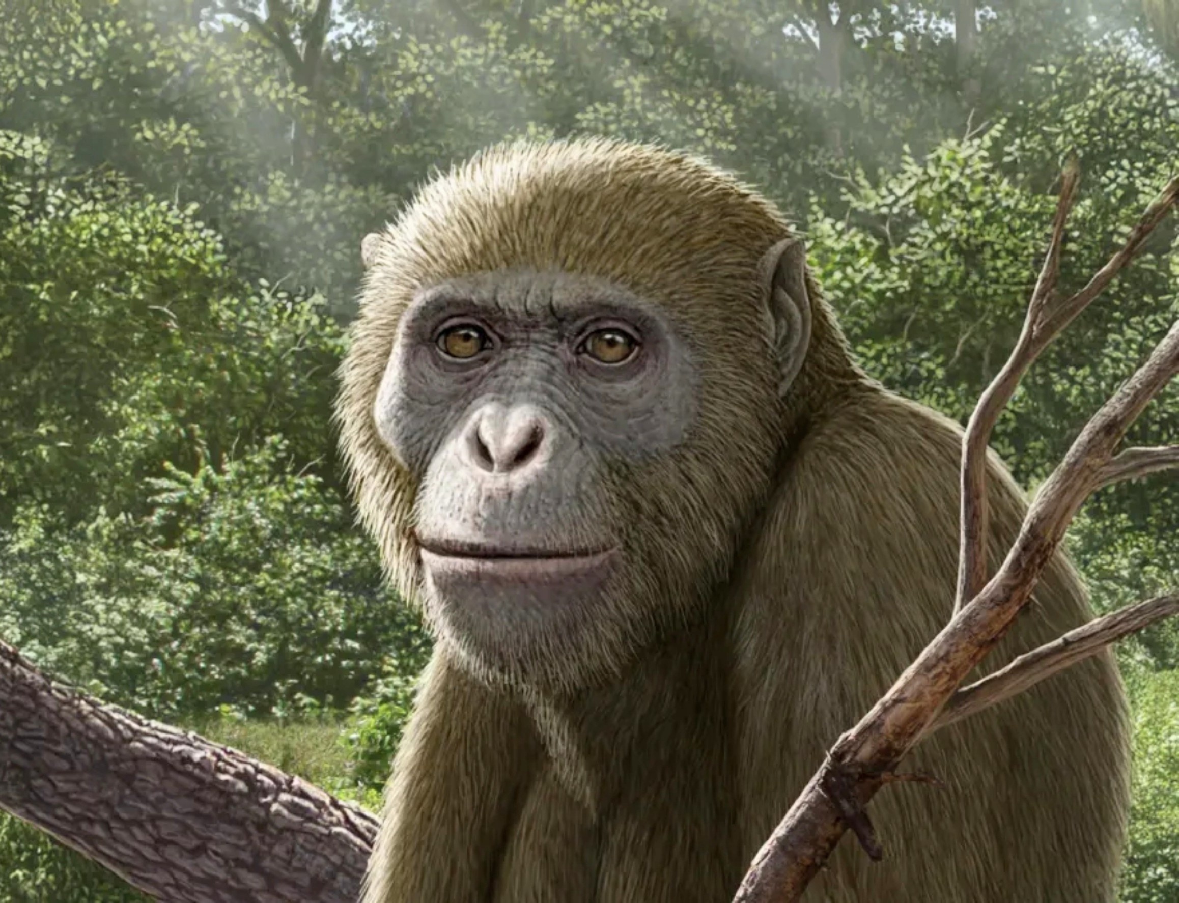 Ancient ape fossil from Egypt may rewrite the human origin story ...