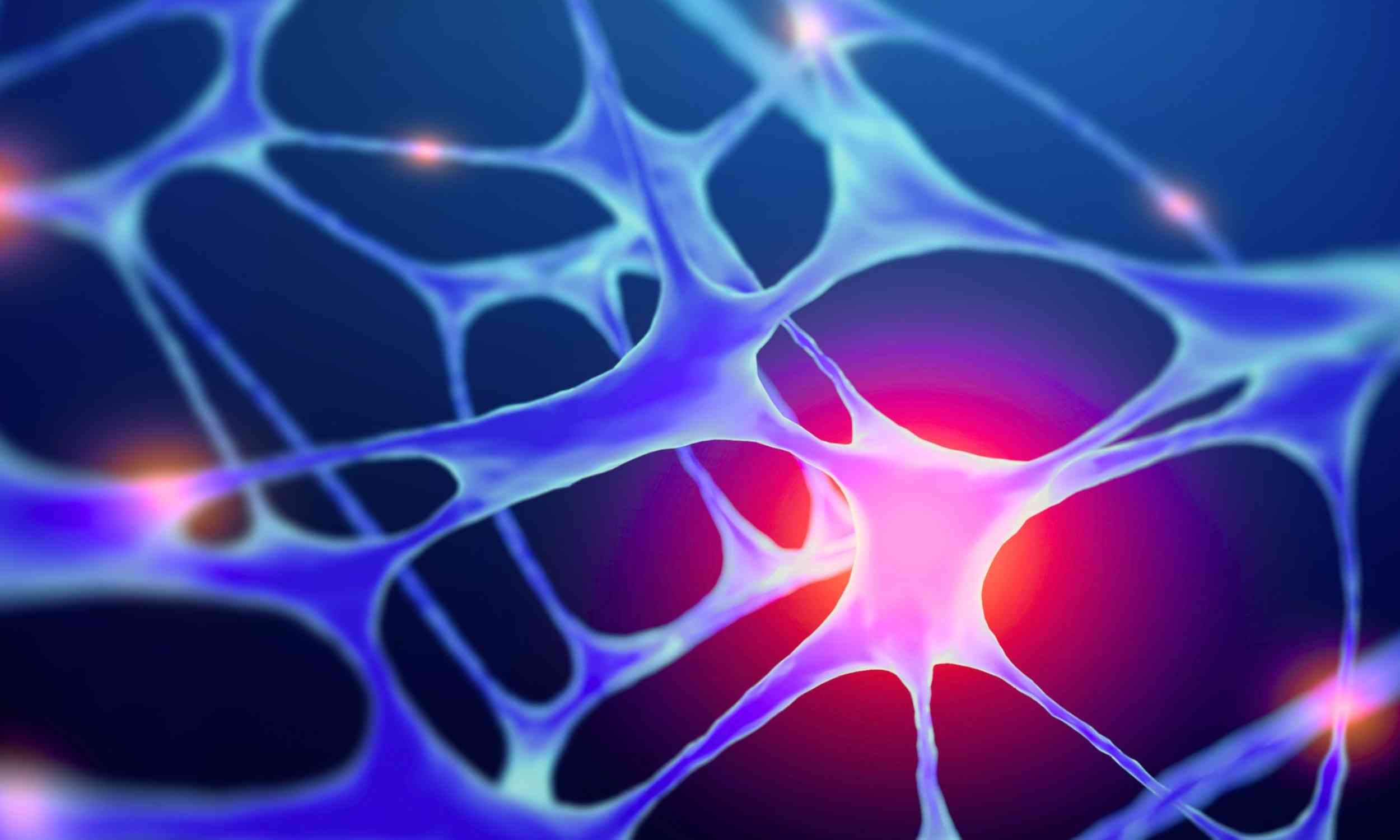 Blocking this protein helps nerves regrow faster after injury - Earth.com
