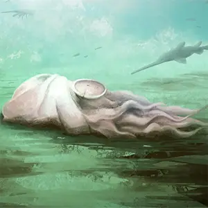 Earth's 'oldest octopus' was not actually an octopus after all - Earth.com