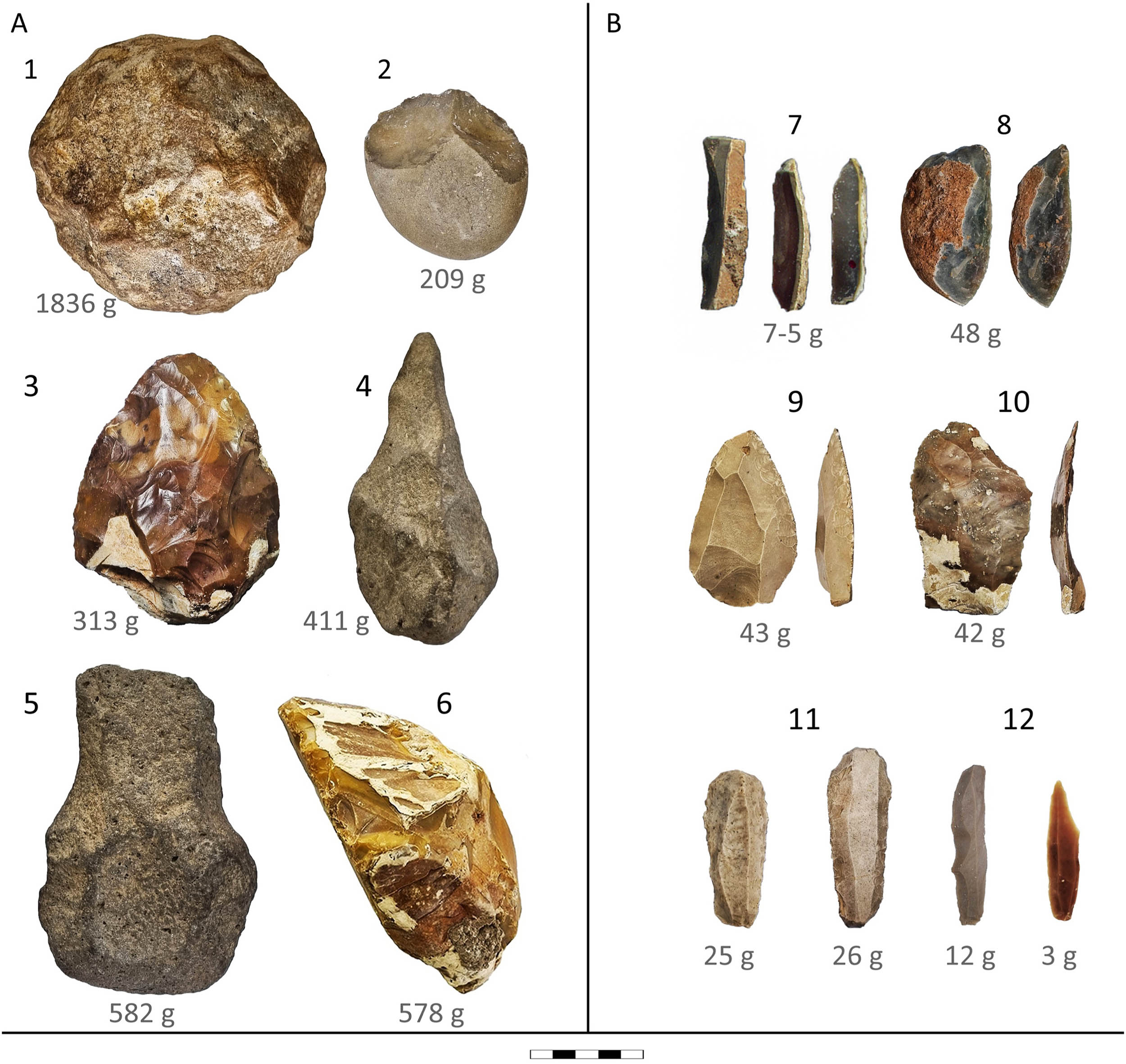 When giant animals vanished, early humans reinvented their tools ...