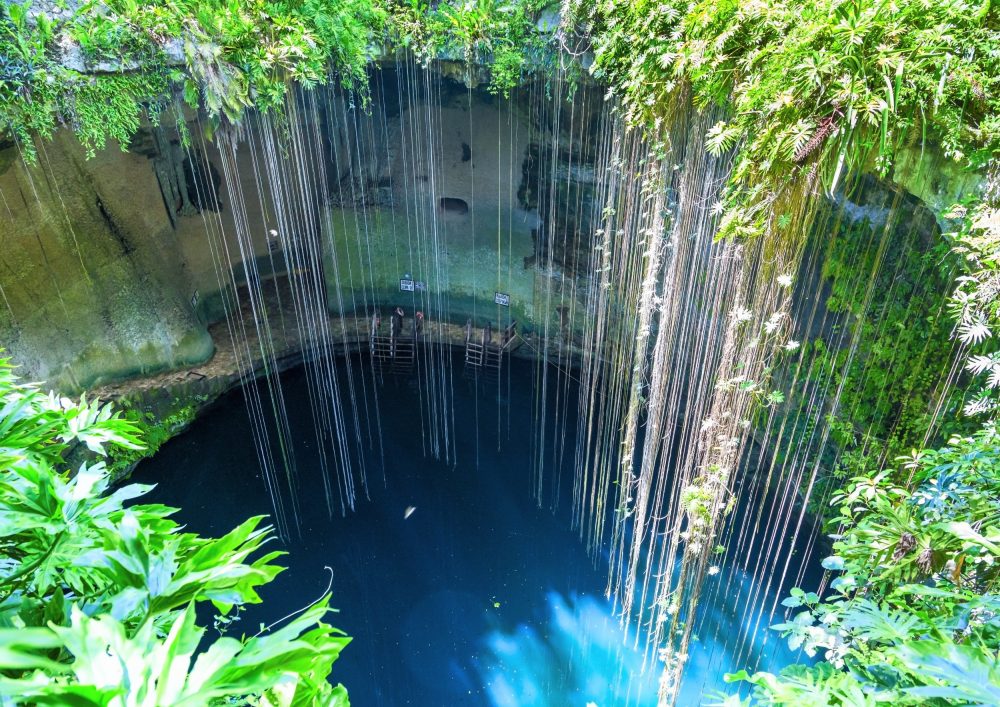 Cave shrimp power an ecosystem beneath the Yucatán rainforest - Earth.com