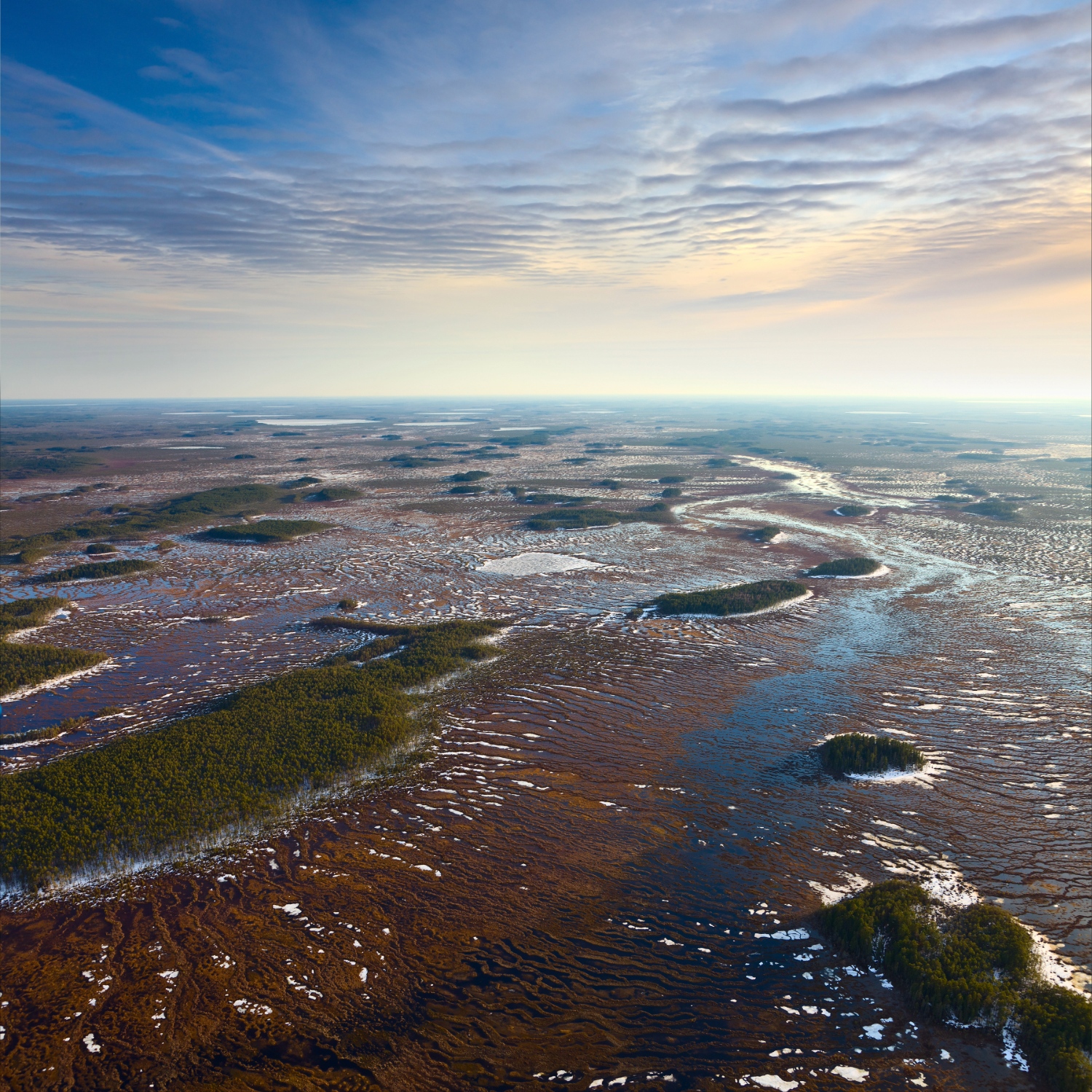 Wetland microbes are most active during winter, not summer - Earth.com