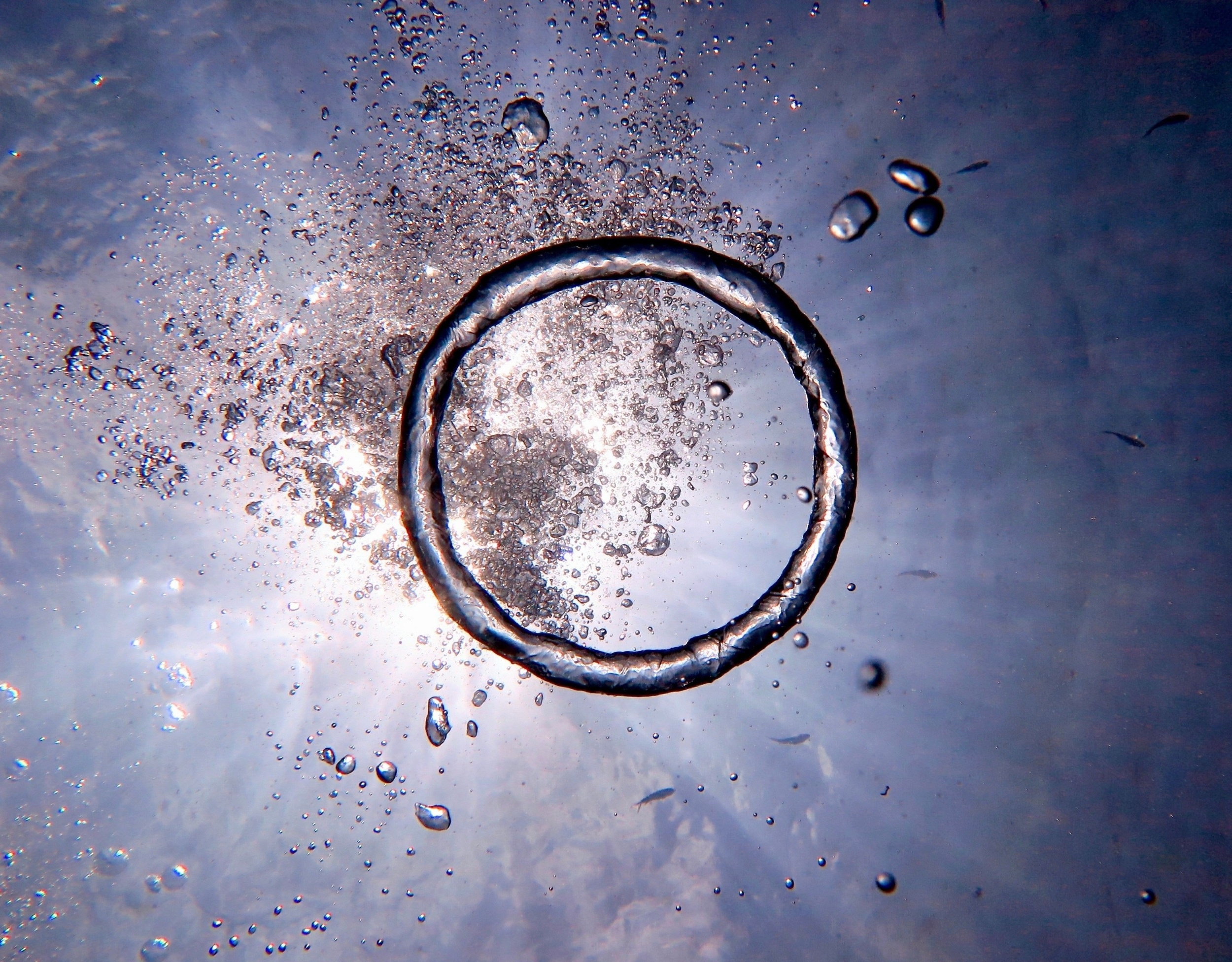 Microplastics weaken the ocean’s ability to absorb carbon - Earth.com