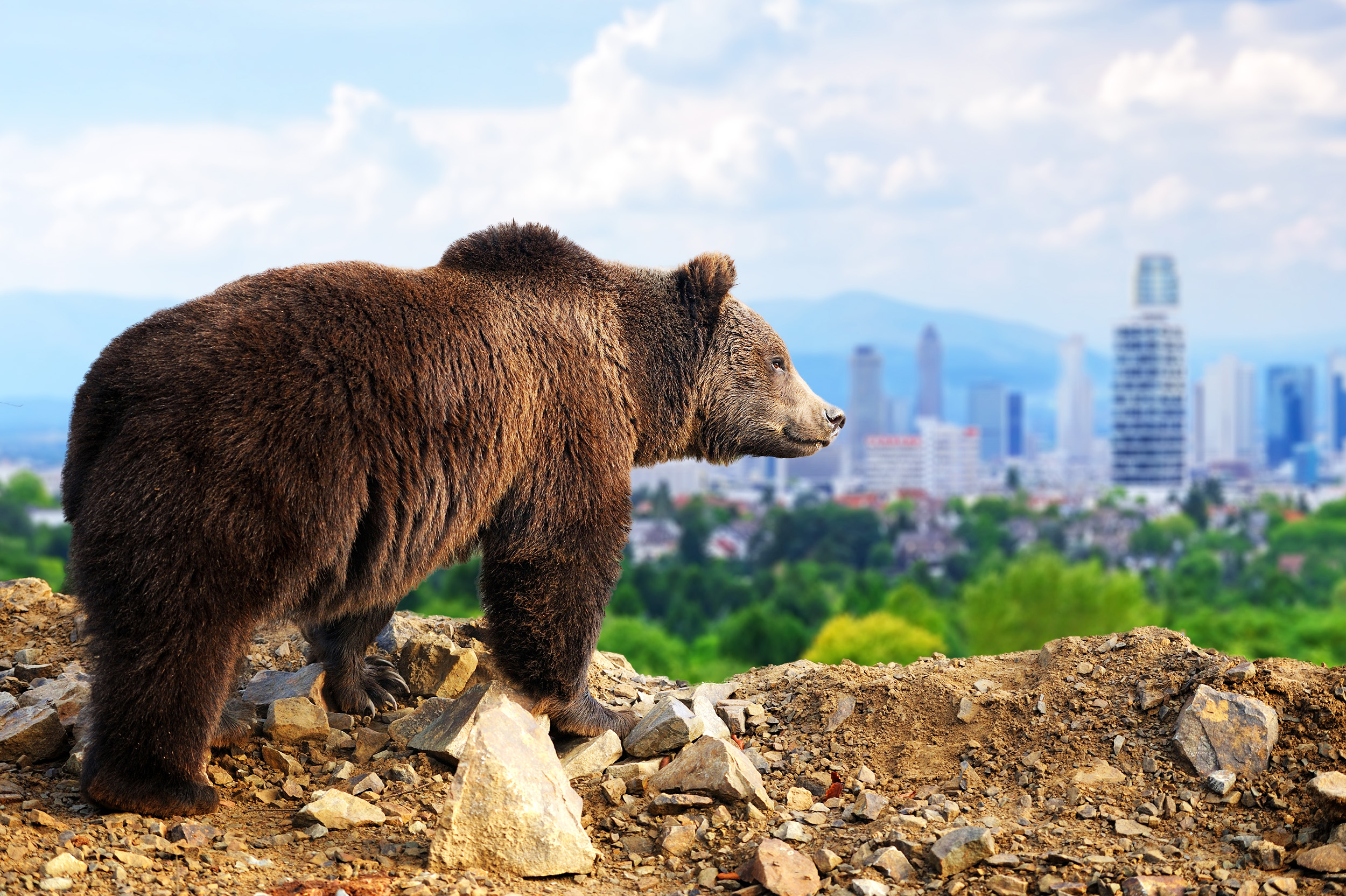 Tracking data shows how wild animals respond to human presence and ...