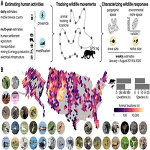 Tracking data shows how wild animals respond to human presence and ...