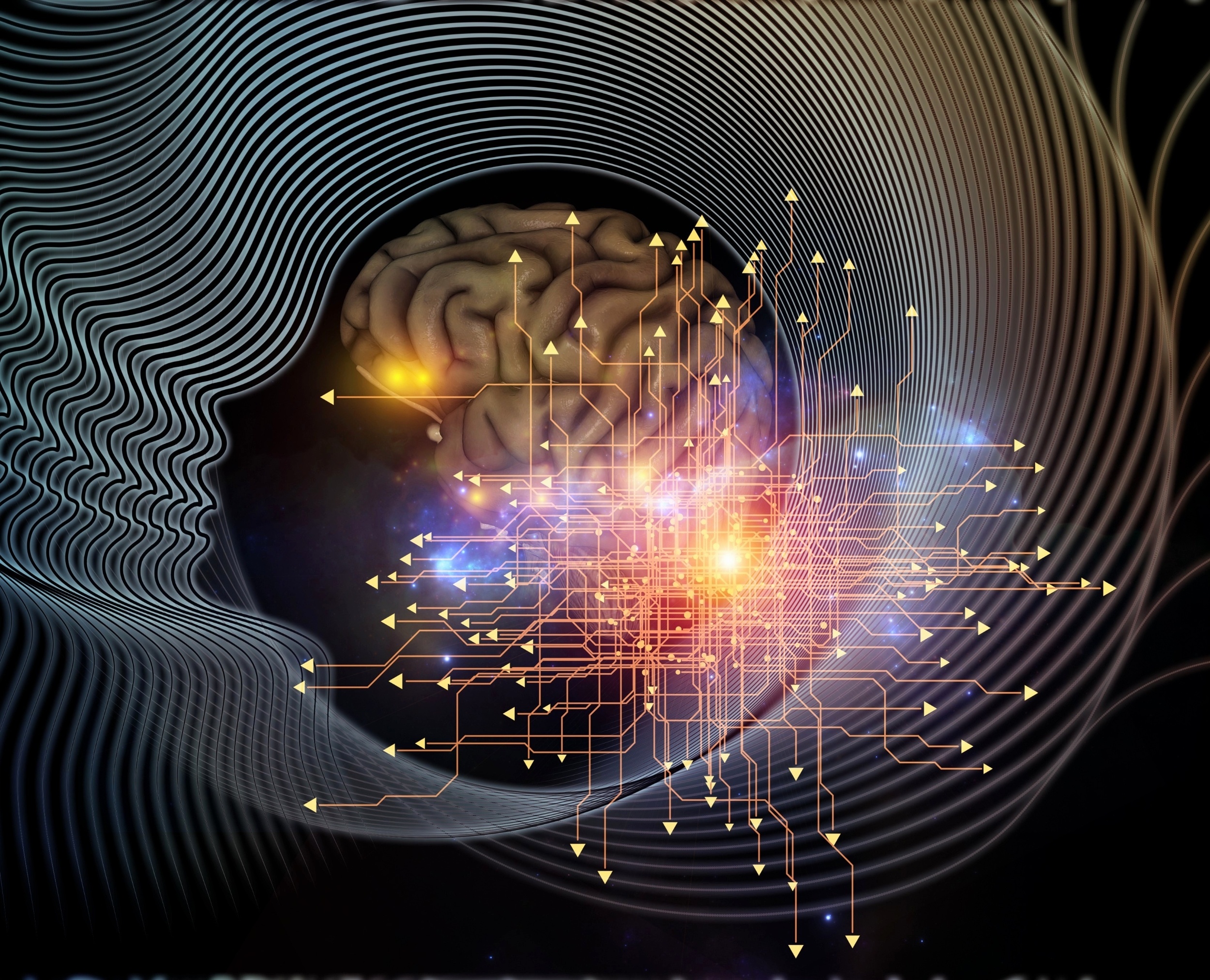 When this brain switch goes quiet, thoughts become noisier - Earth.com