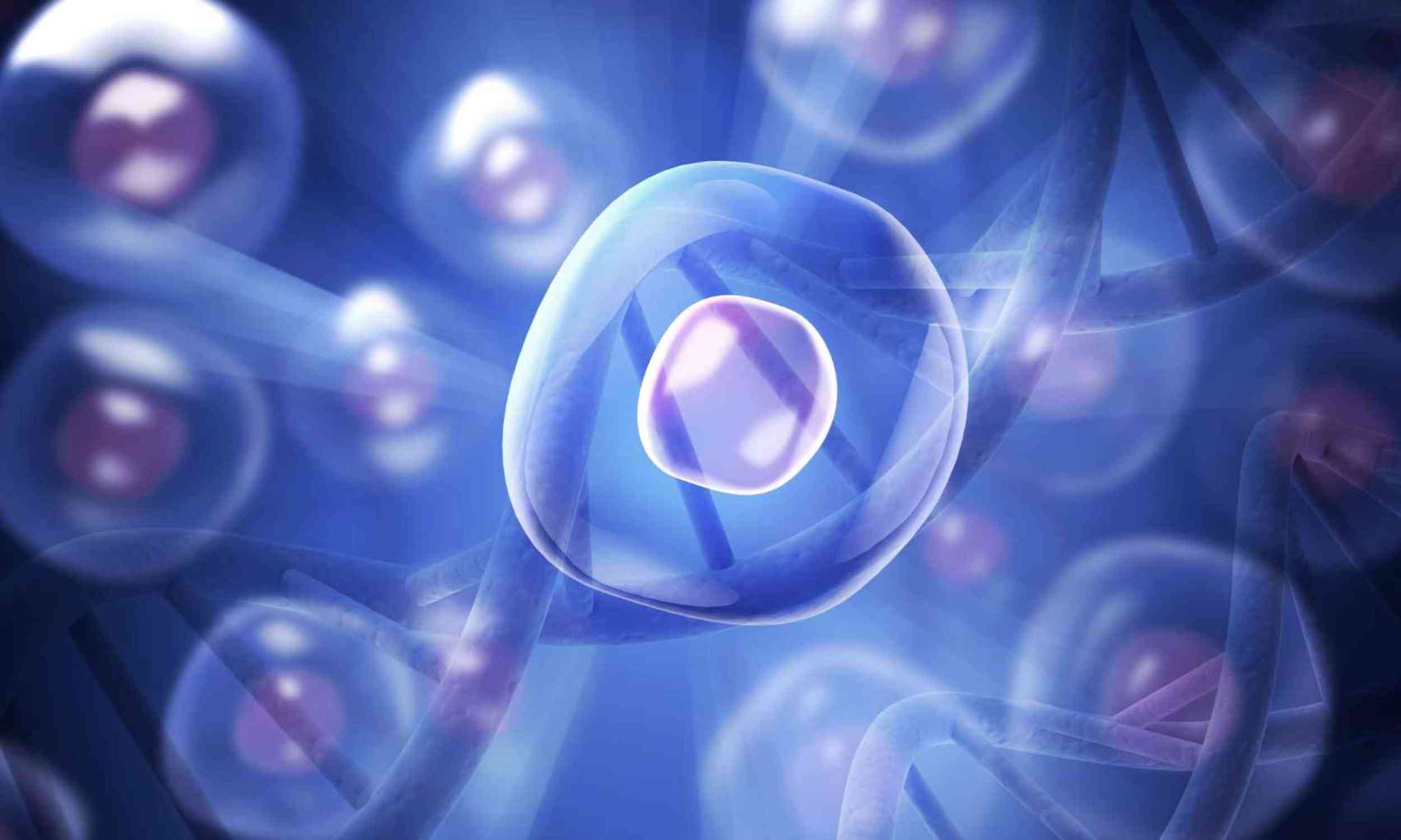 A hidden code on the surface of human cells can reveal cancer and ...