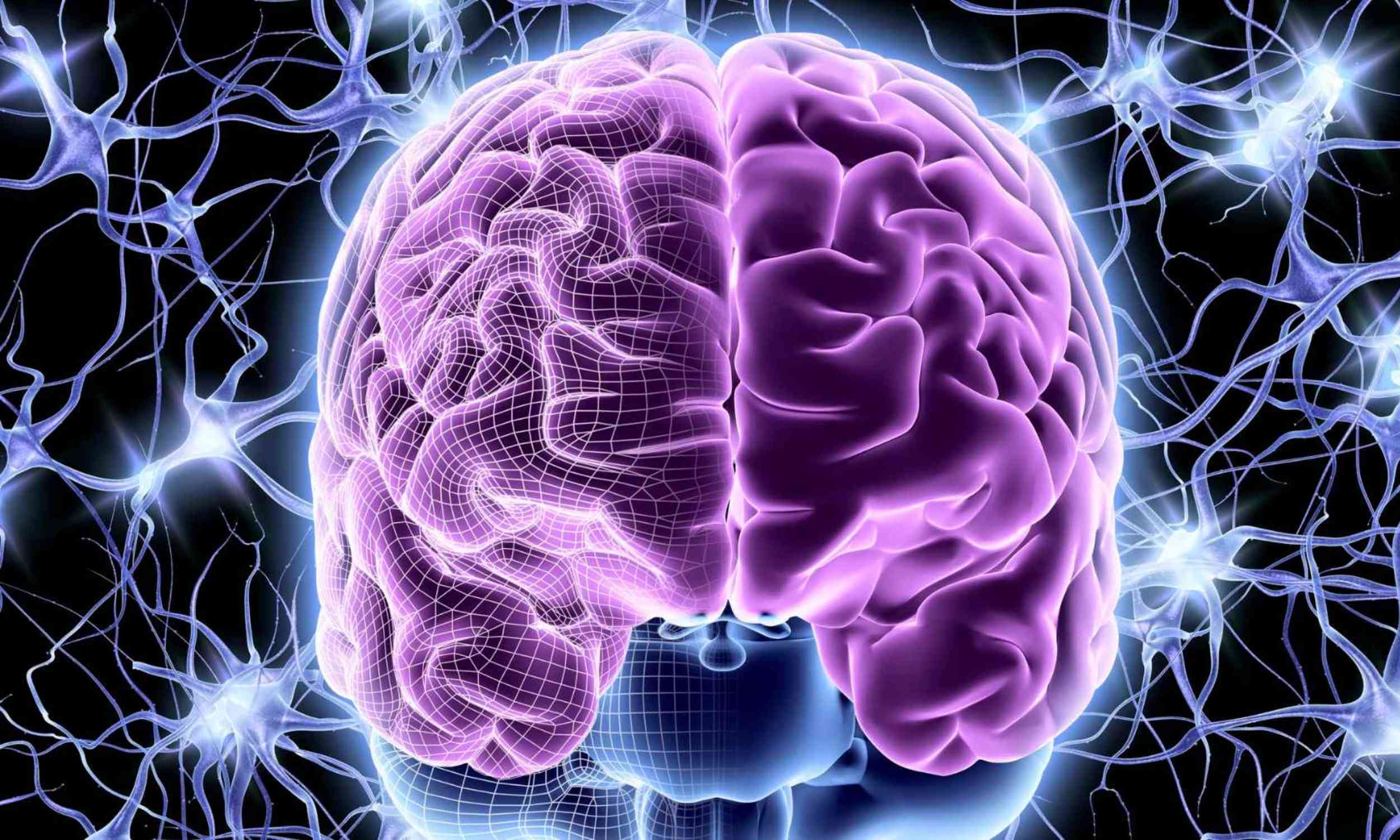 Parkinson’s may spread through a hidden brain cycle, and scientists ...