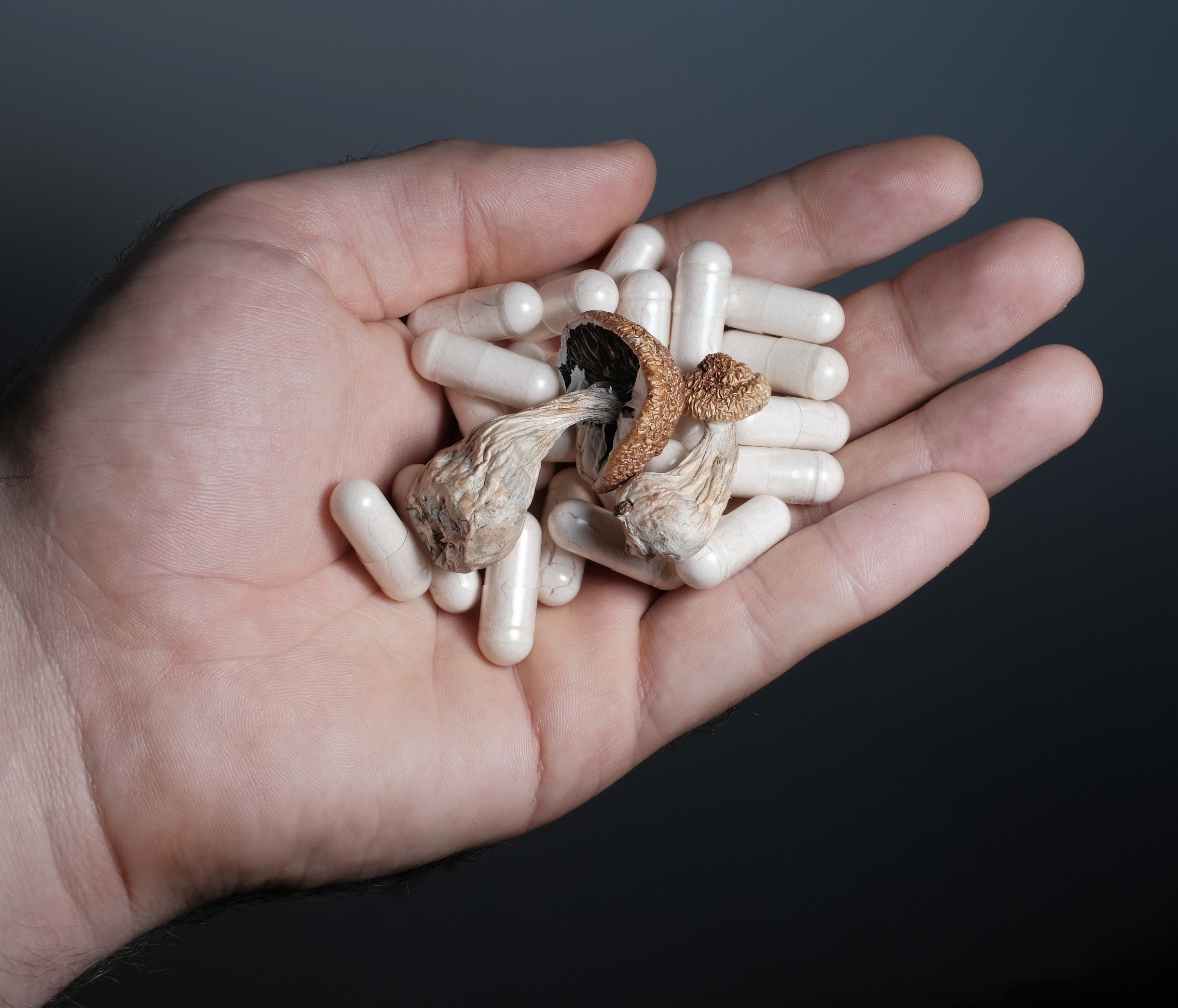 Psilocybin appears to reset chronic pain circuits in the brain - Earth.com