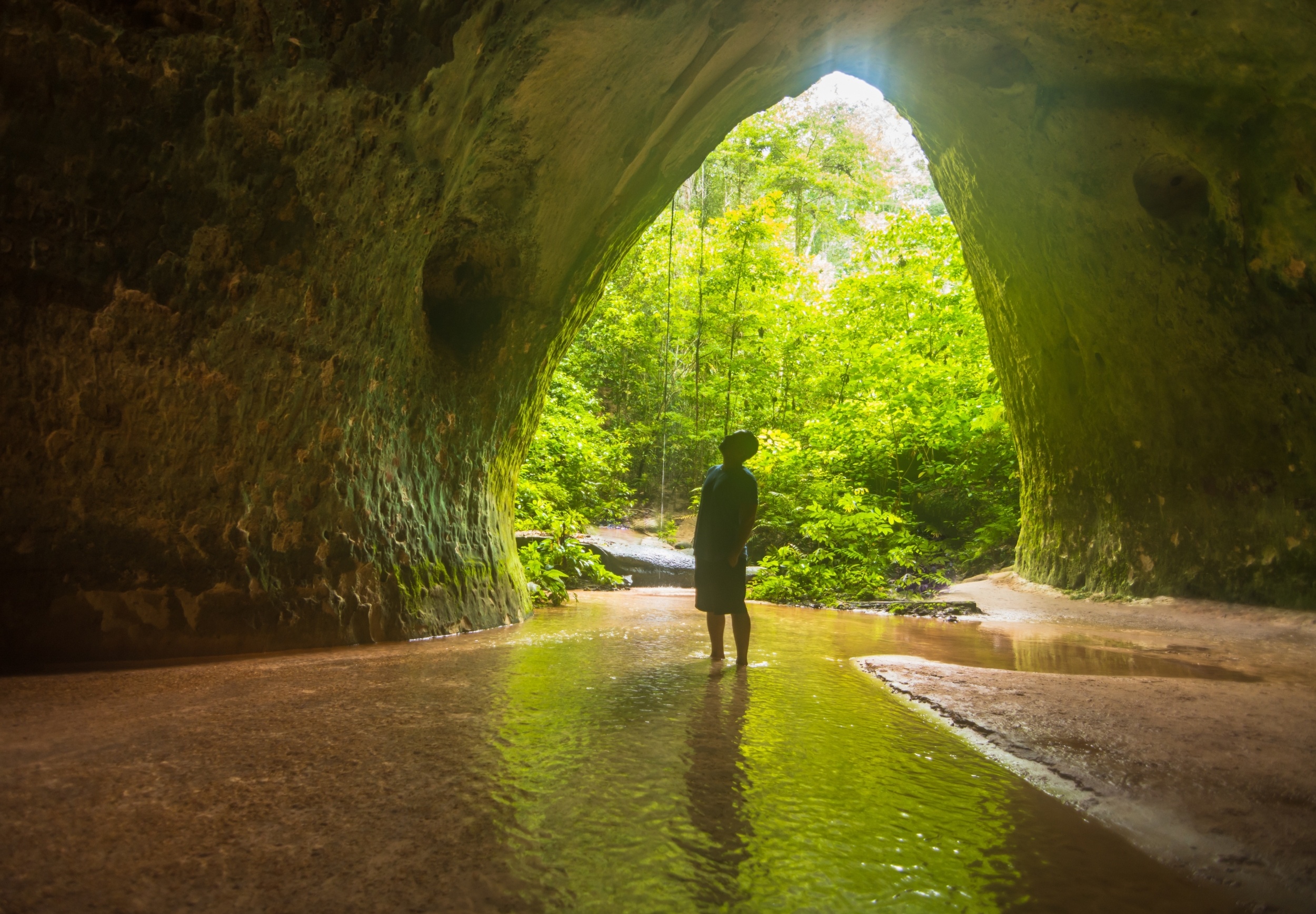 DNA reveals previously unknown migration into South America - Earth.com
