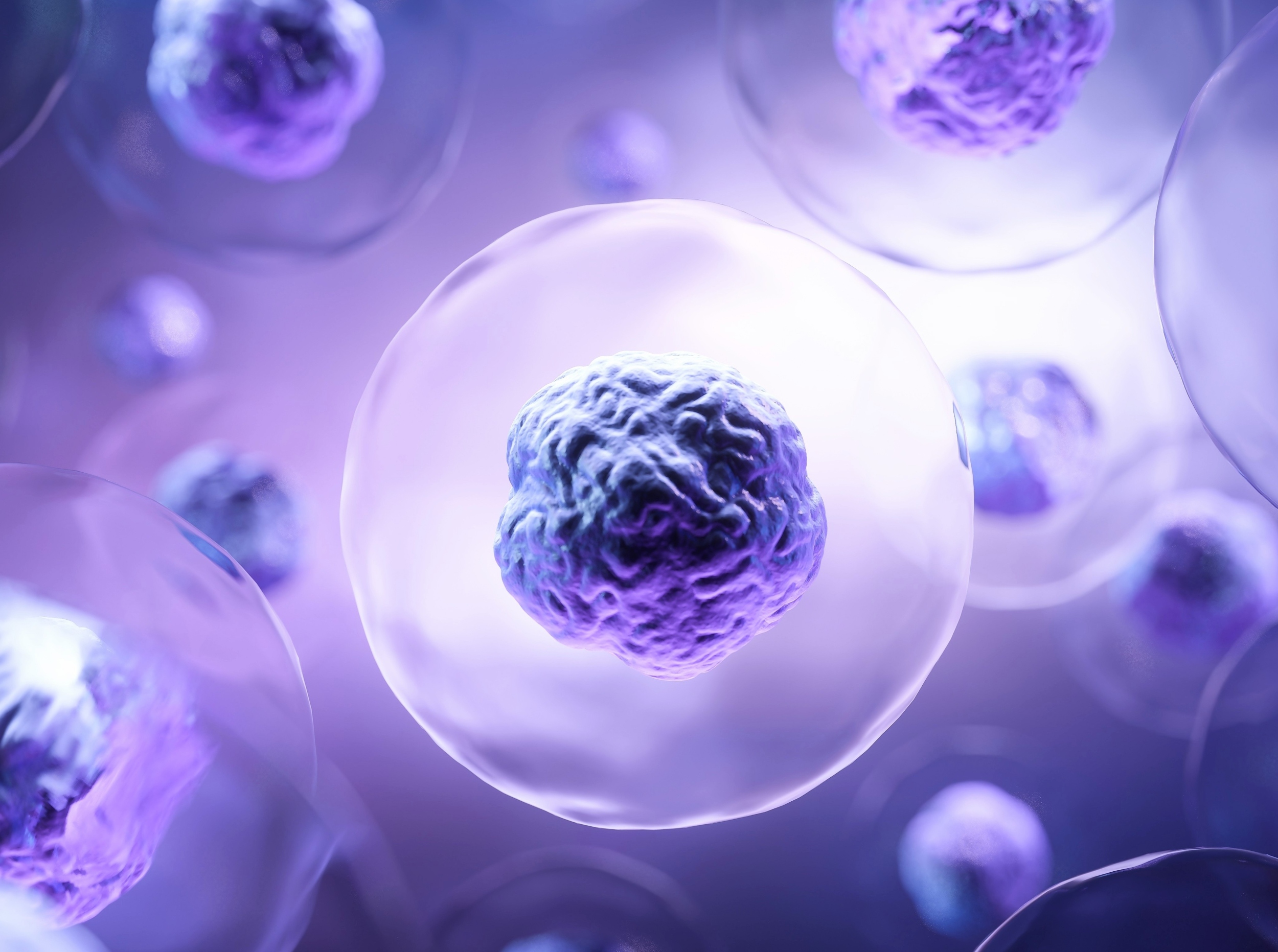 Electrical pulses may reverse aging by 'recharging' stem cells - Earth.com