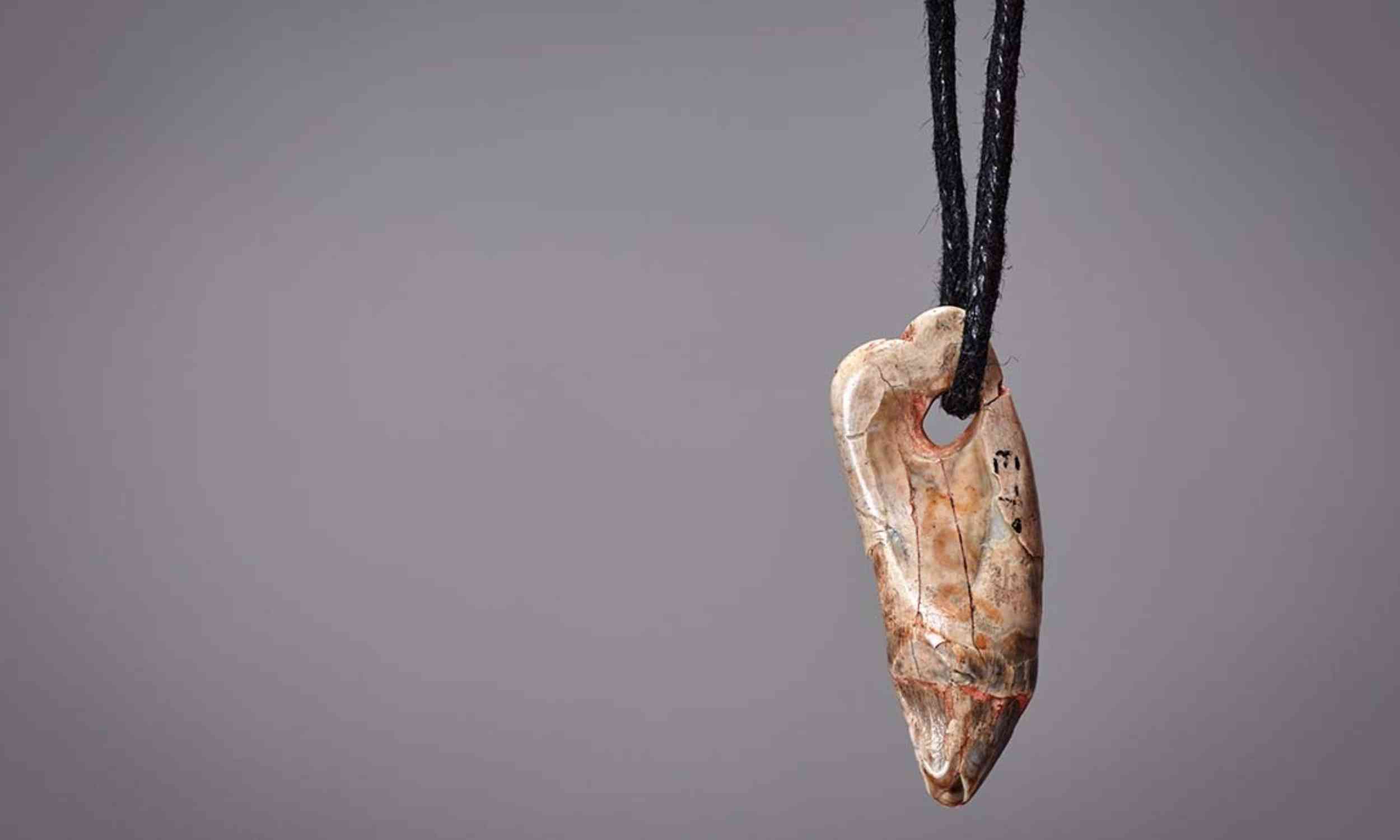 A 15,000 year old seal tooth pendant was hiding in plain sight, what it ...