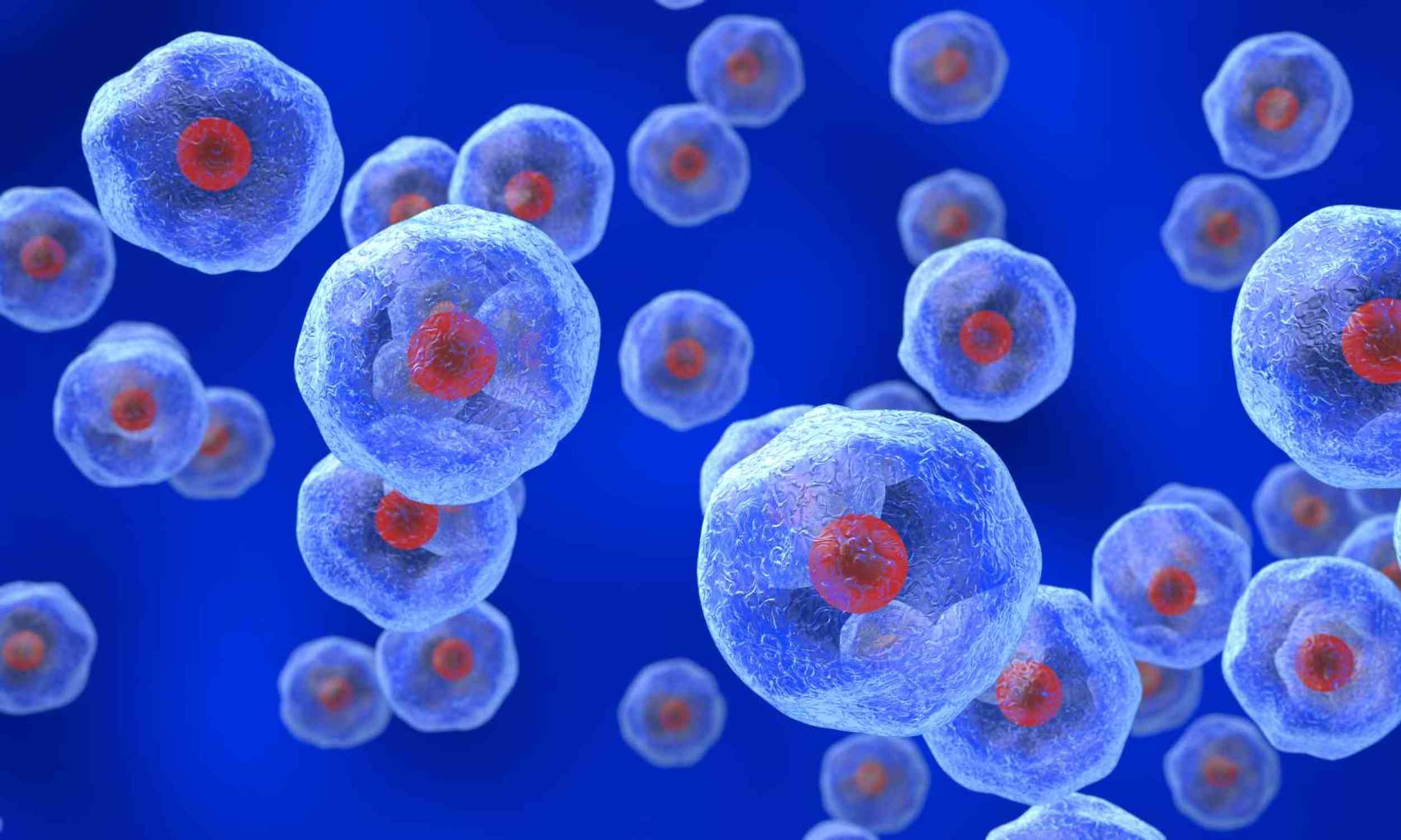 Scientists built a weight-loss drug that sneaks extra power into cells ...