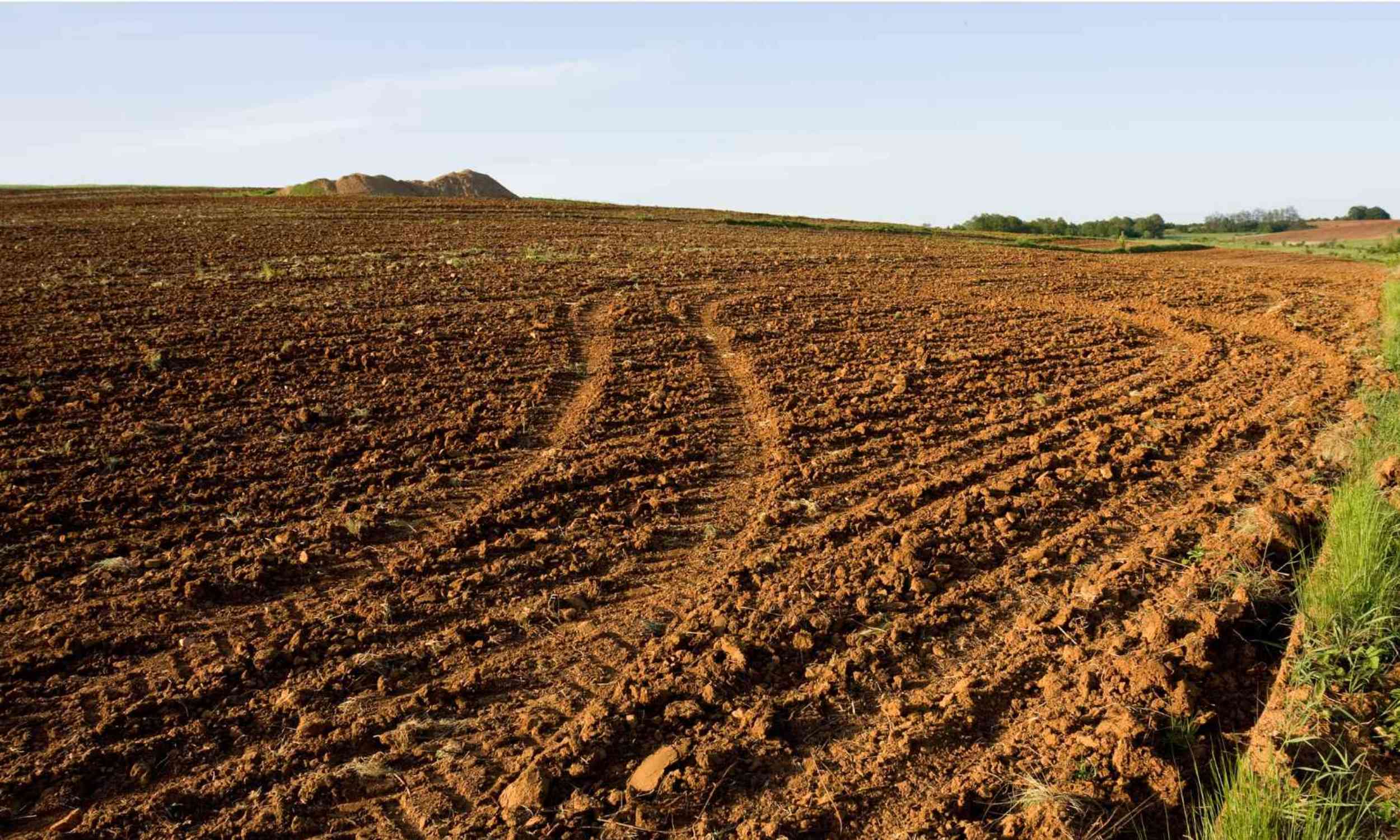 Earth’s richest farm soils are losing carbon, but warming may trigger a ...