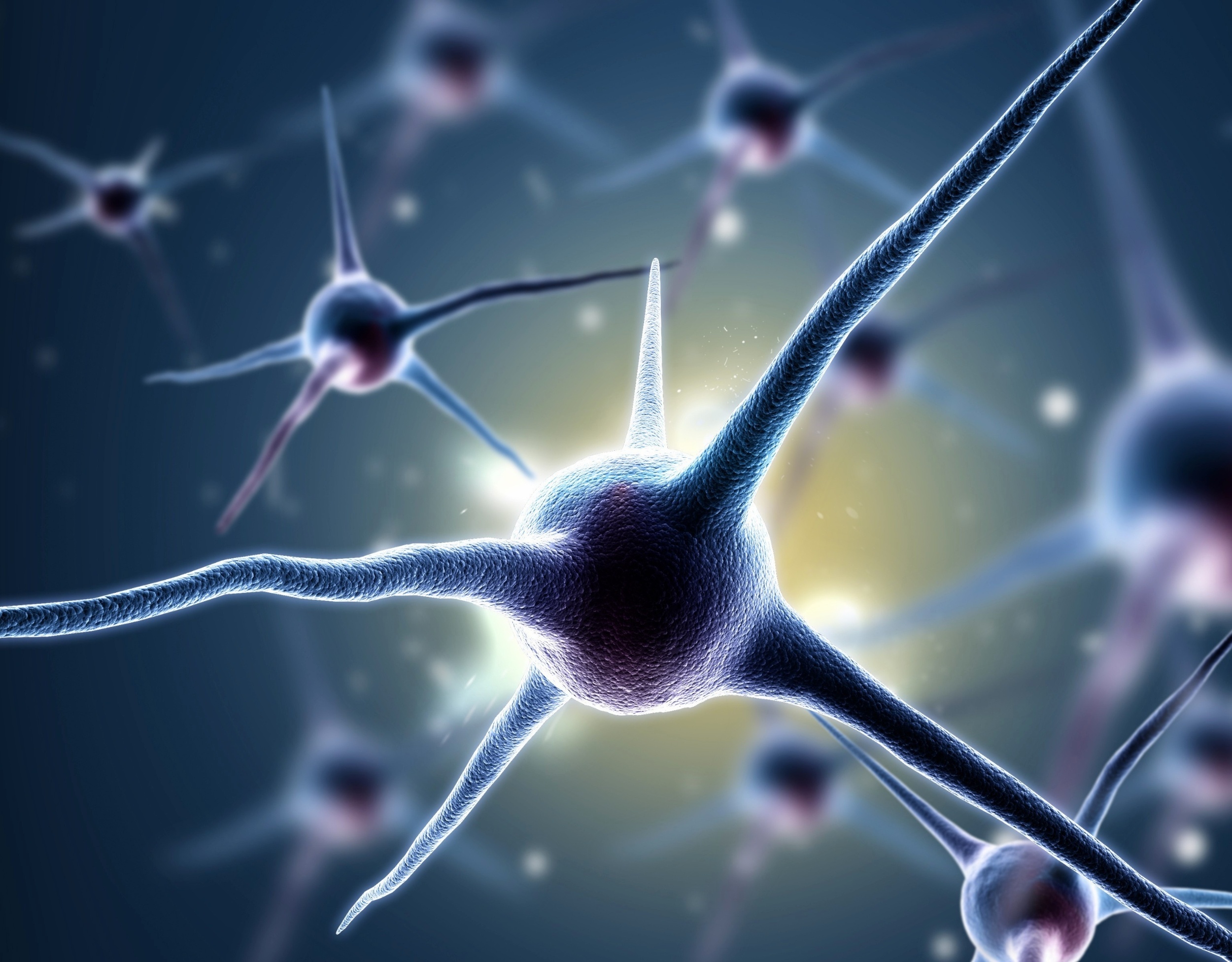 Scientists identify the brain circuit that makes pain feel worse ...