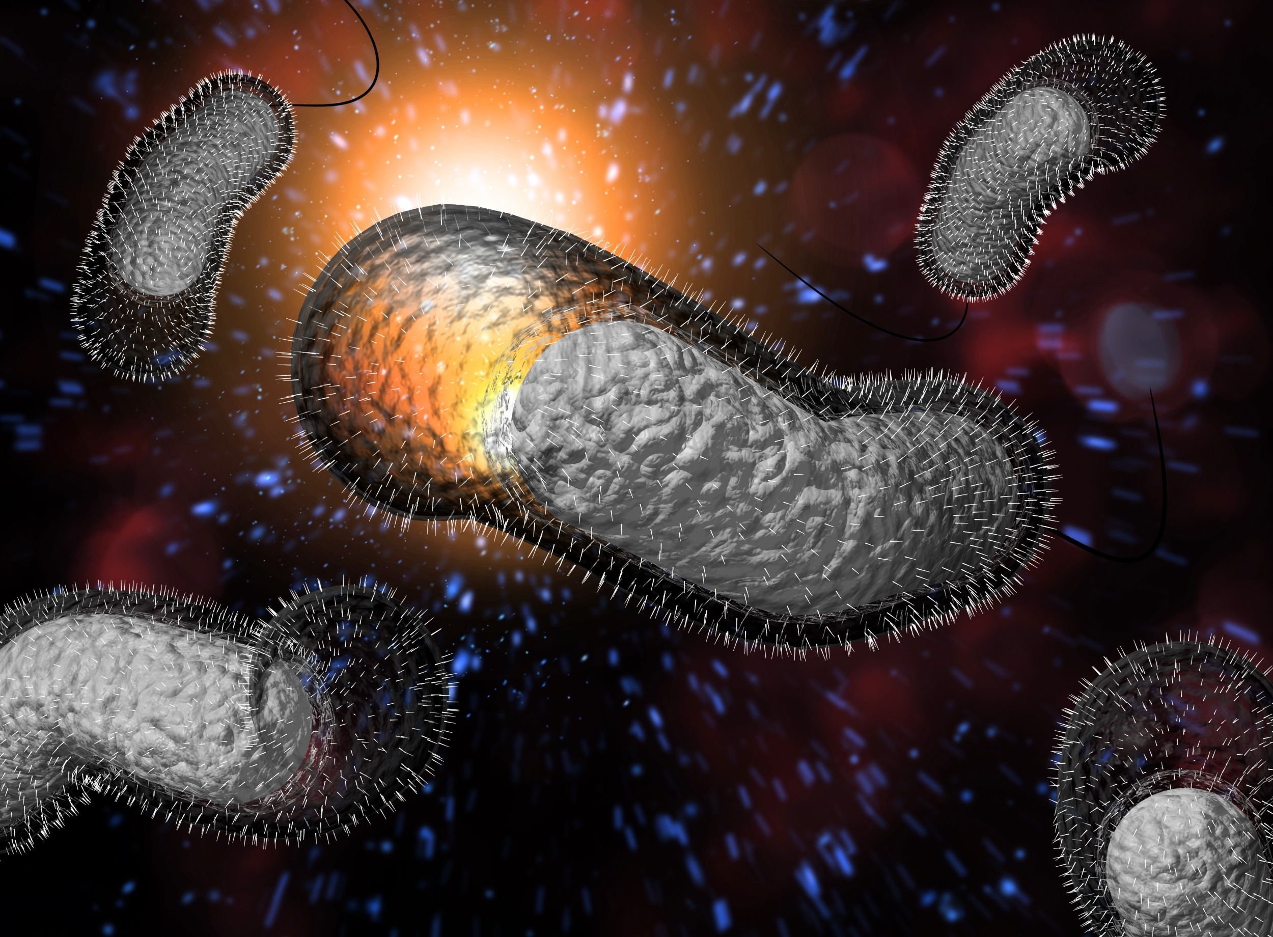 Bacterial shape mystery has finally been solved after decades - Earth.com